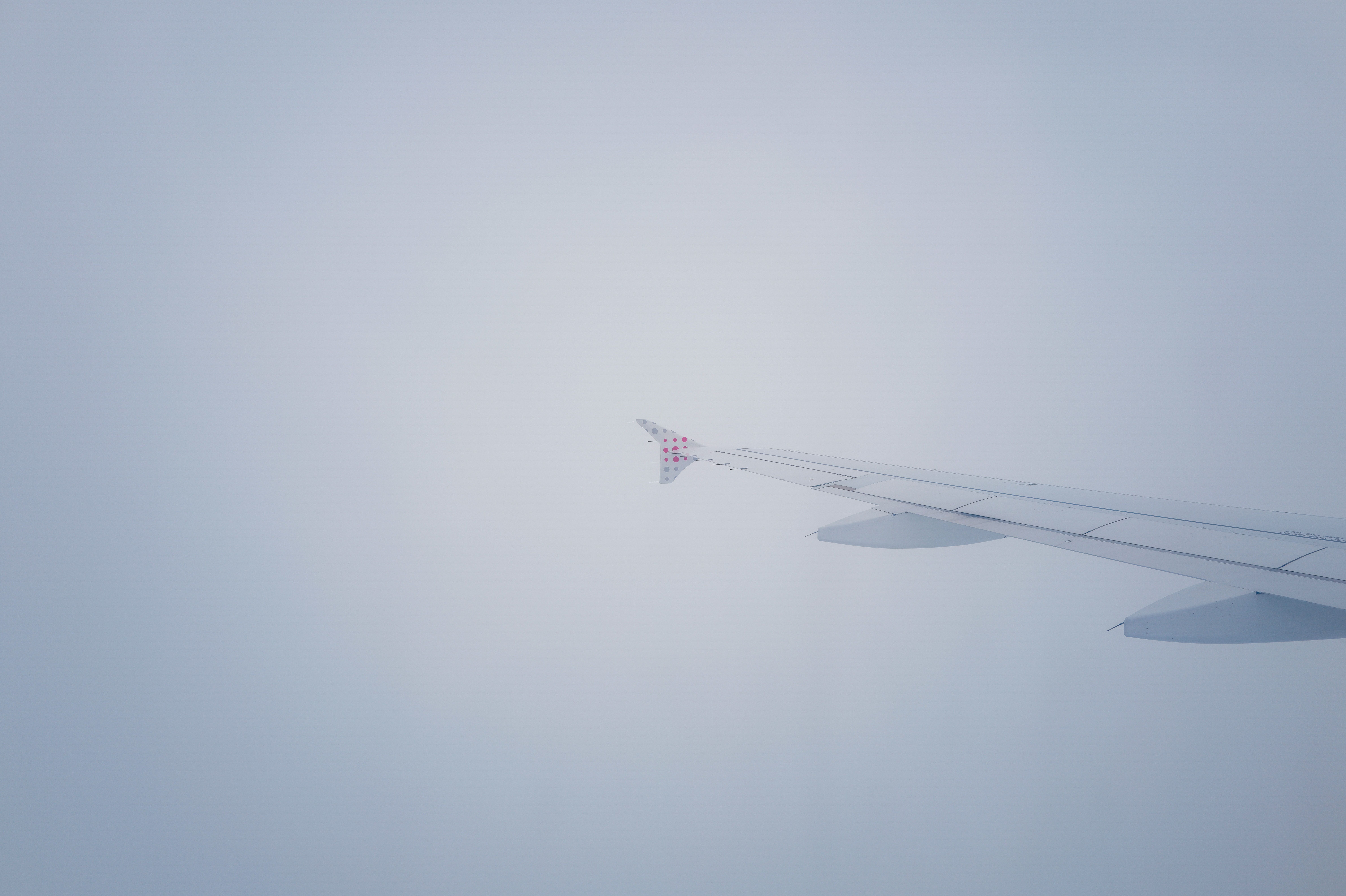 Gray Plane Wing · Free Stock Photo