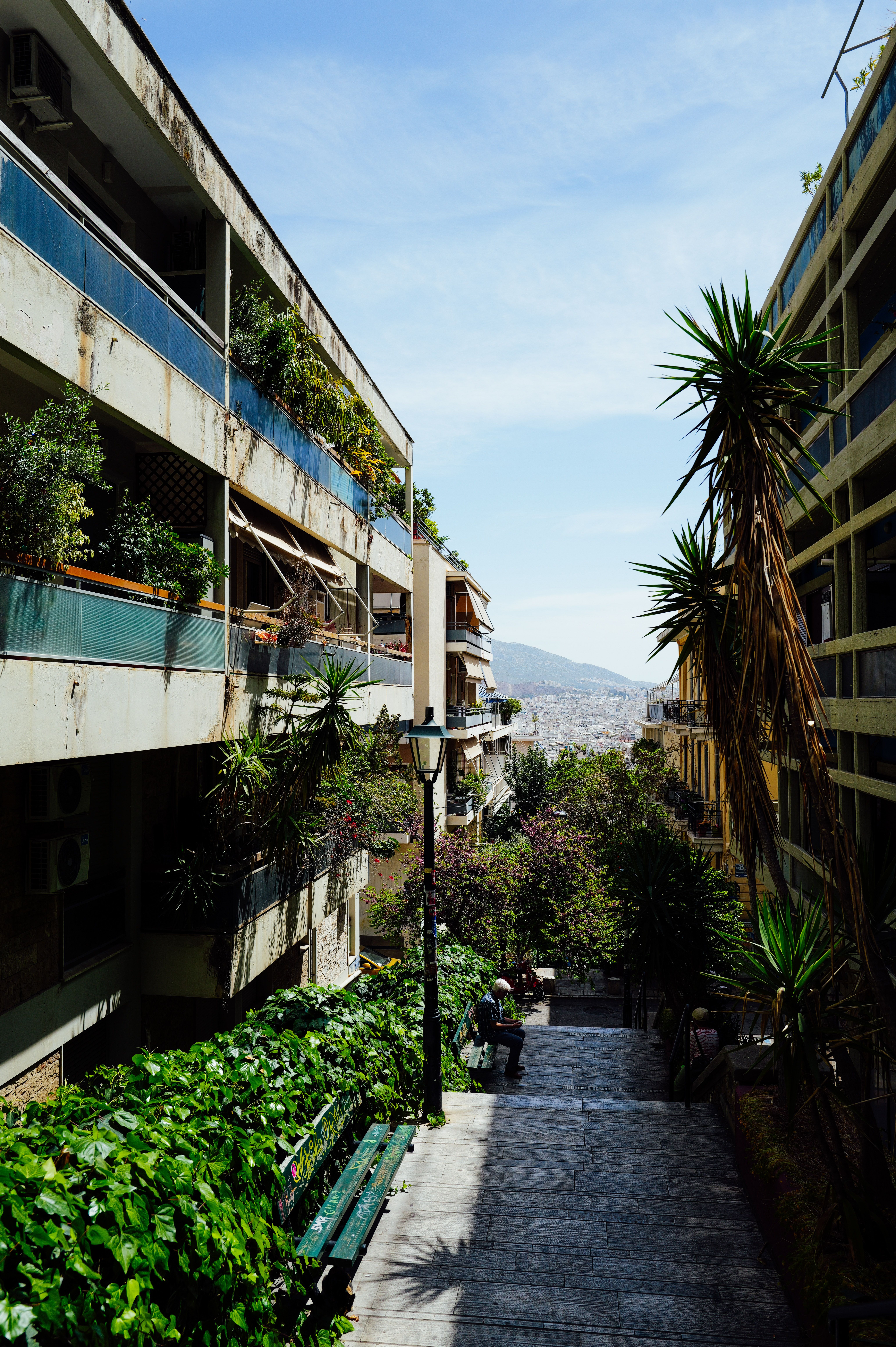 Urban Balcony Gardens with Cityscape View · Free Stock Photo