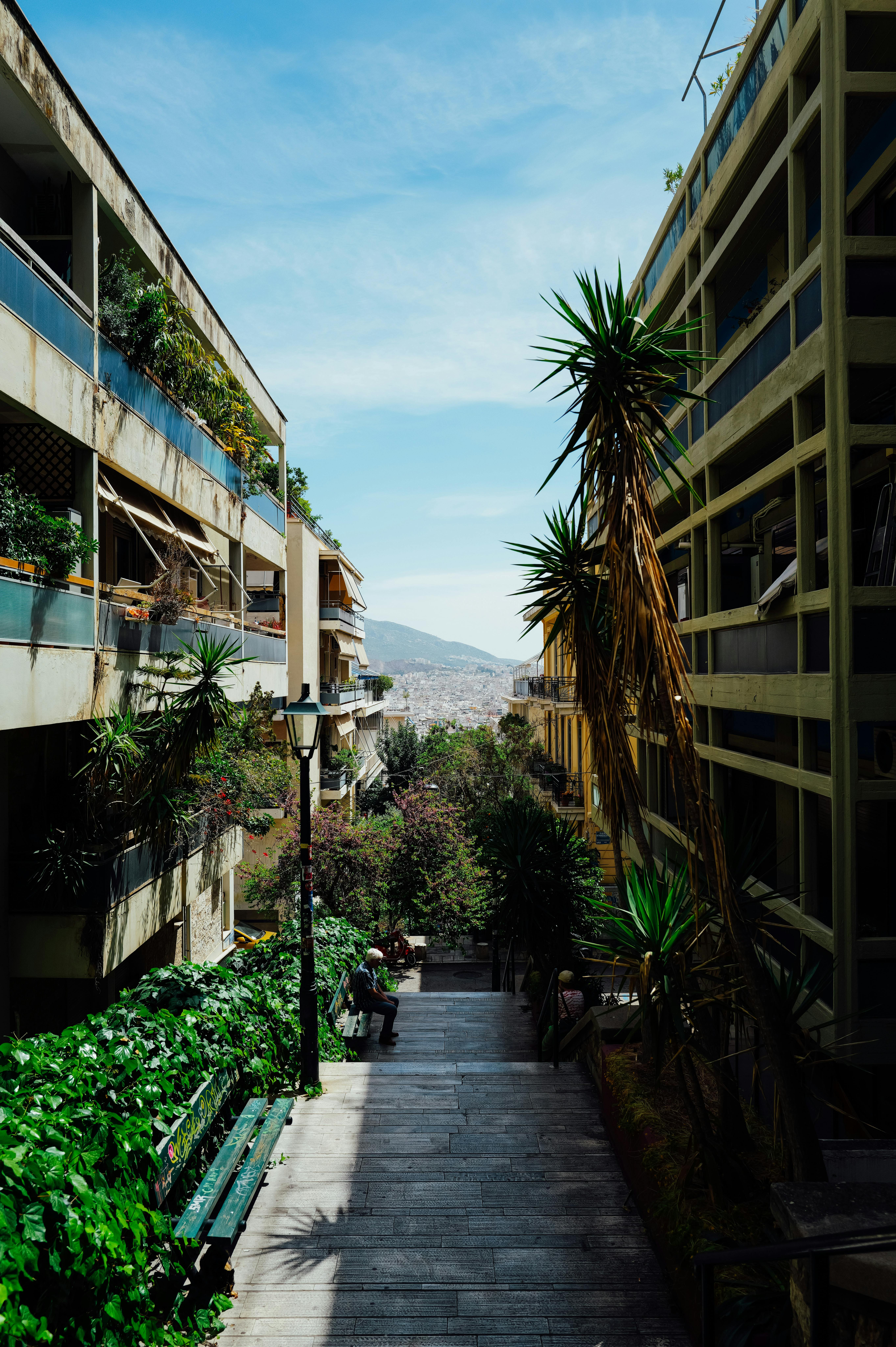 Urban Pathway with Greenery between Buildings · Free Stock Photo