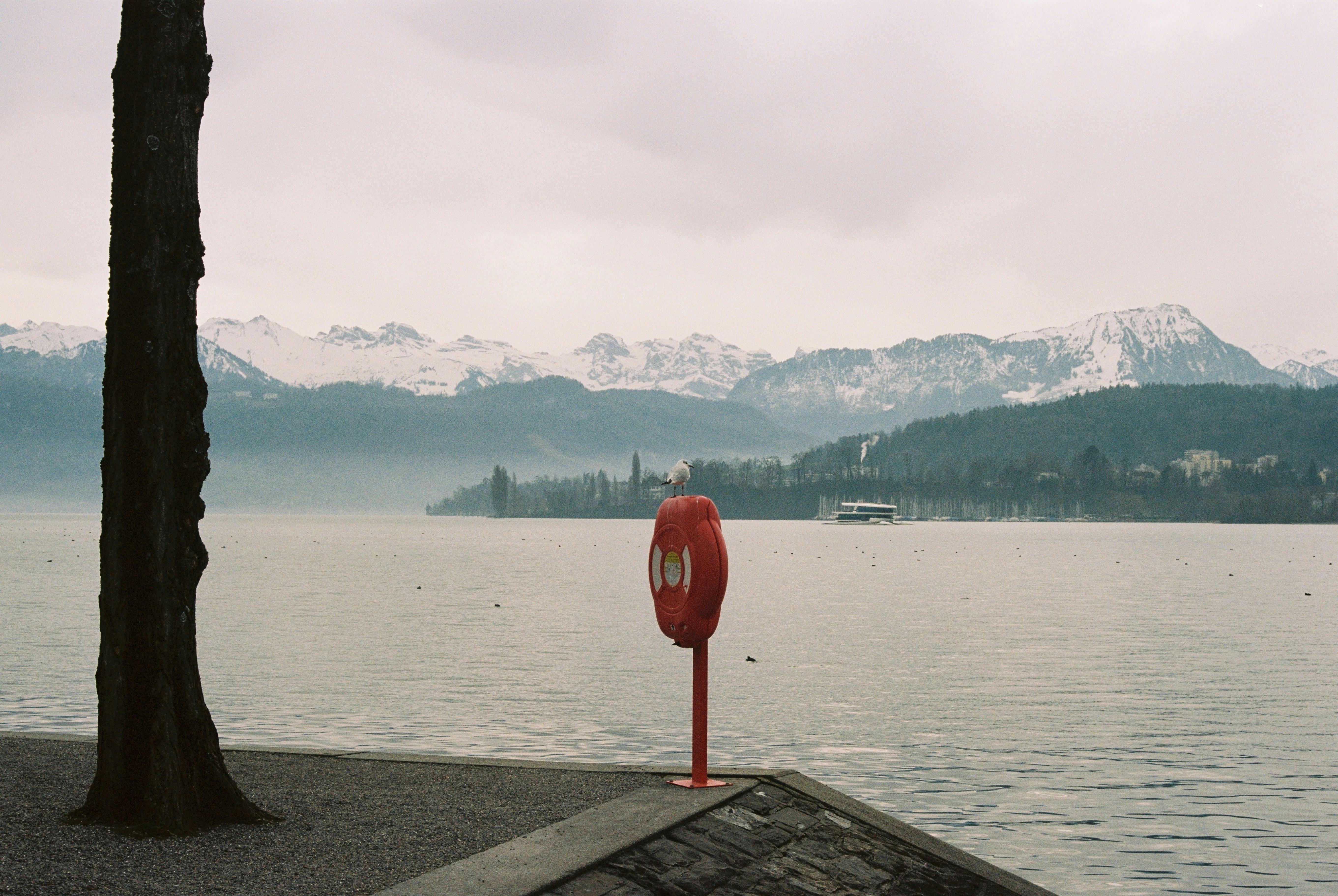 Serene Lake Scene with Swiss Alps Backdrop · Free Stock Photo
