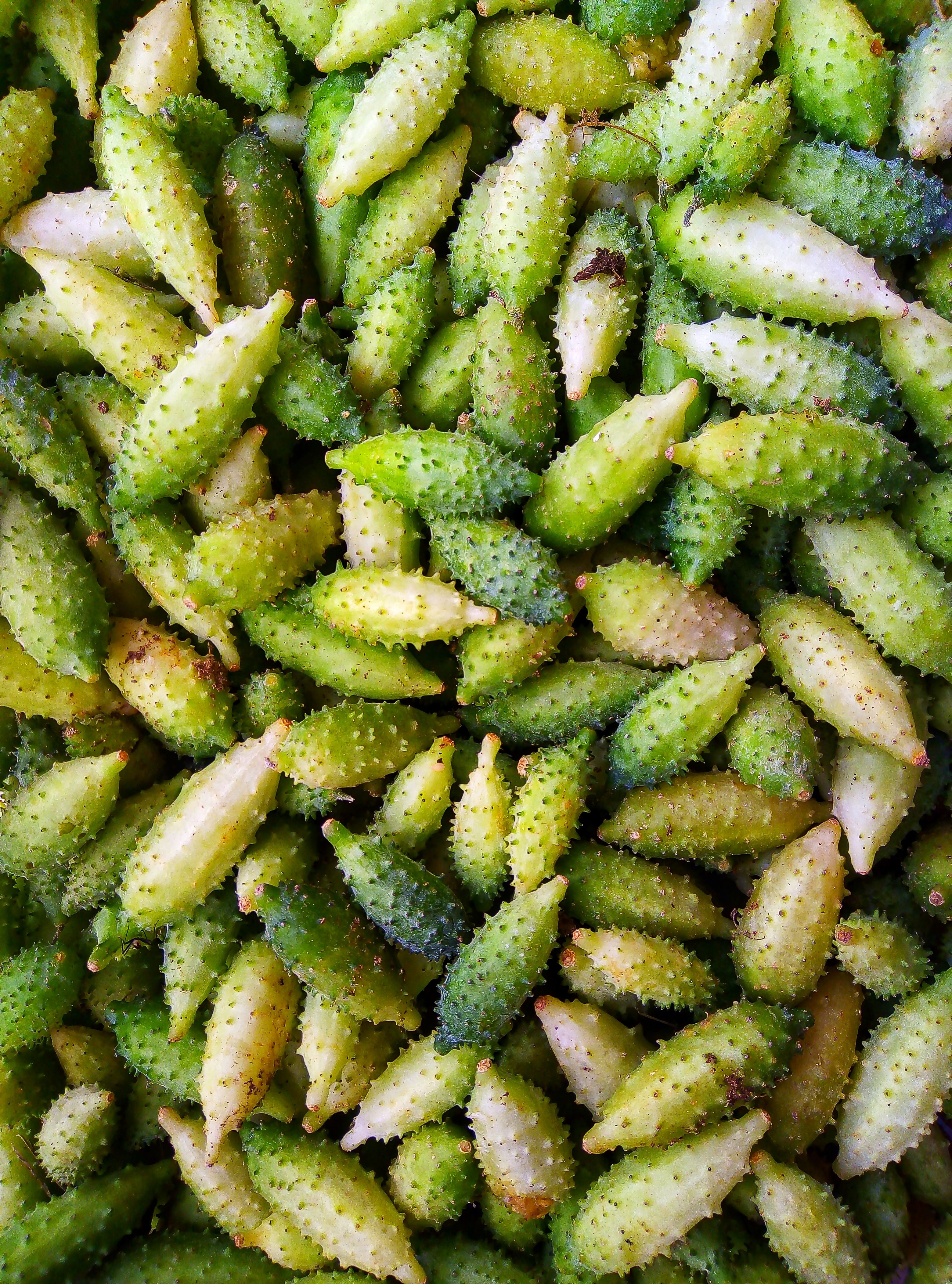 Raw Cookie Rough Photos, Download The BEST Free Raw Cookie Rough Stock ...
