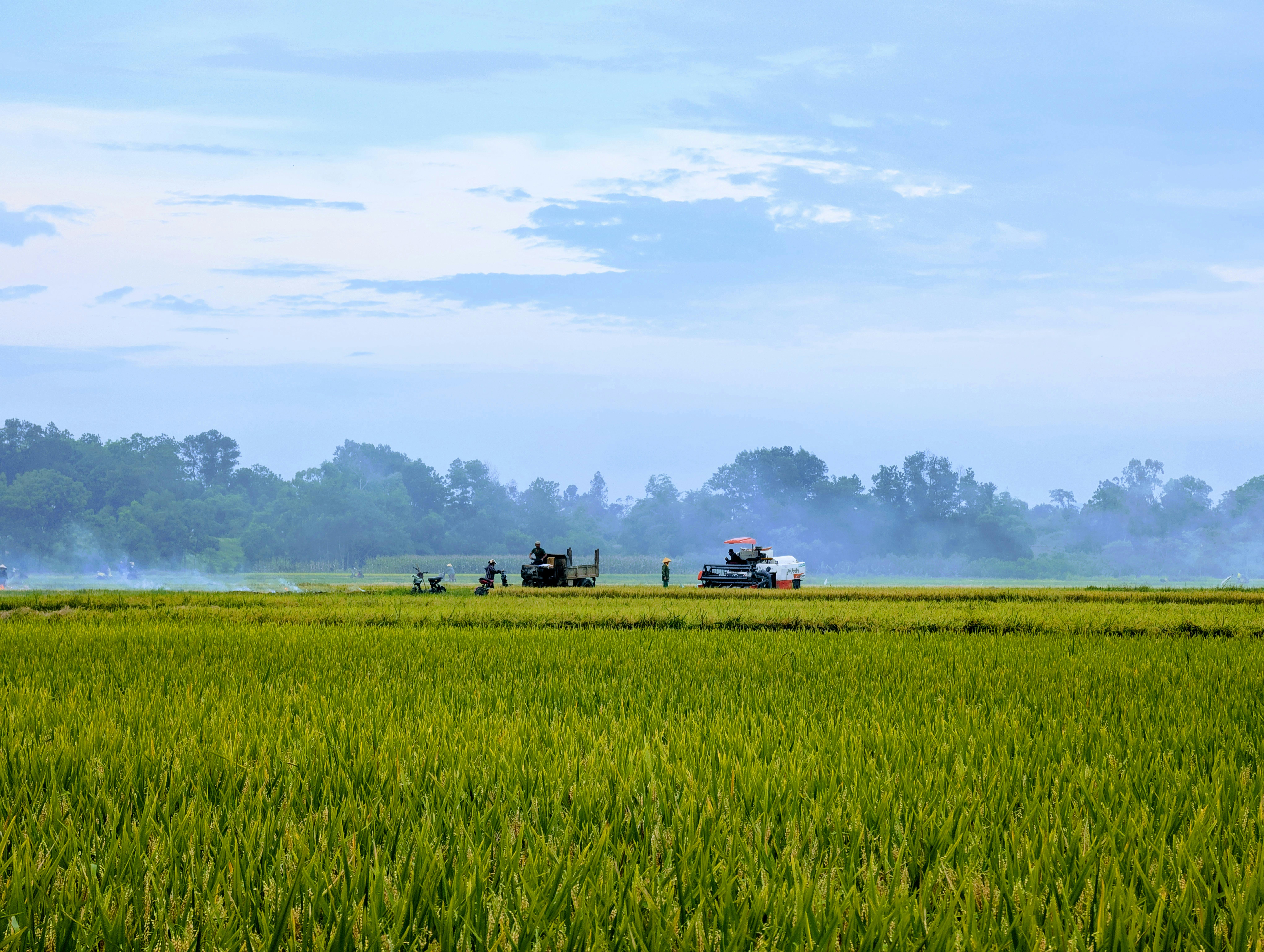 Panen Pedesaan Yang Indah Dengan Petani Di Ladang · Foto Stok Gratis