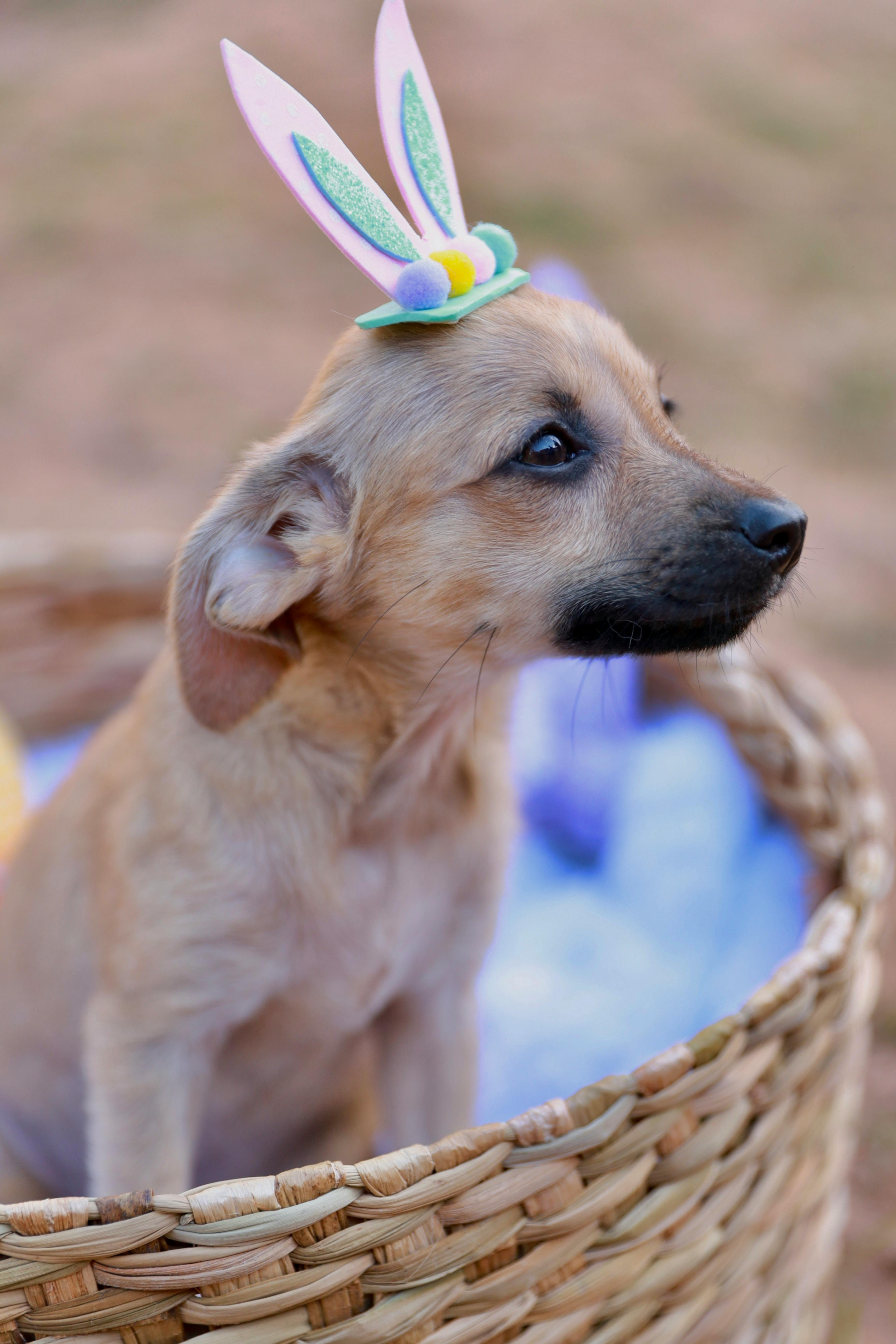 Imx+Non Photos, Download The BEST Free Imx+Non Stock Photos & HD Images