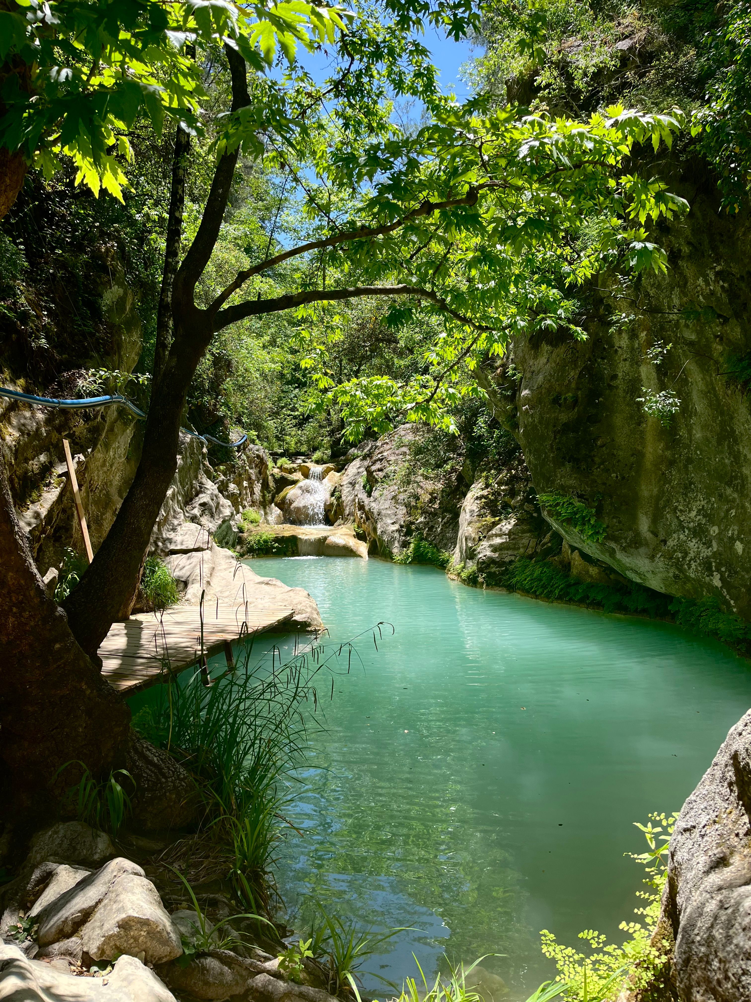 Tranquil Forest Oasis with Emerald Pool · Free Stock Photo