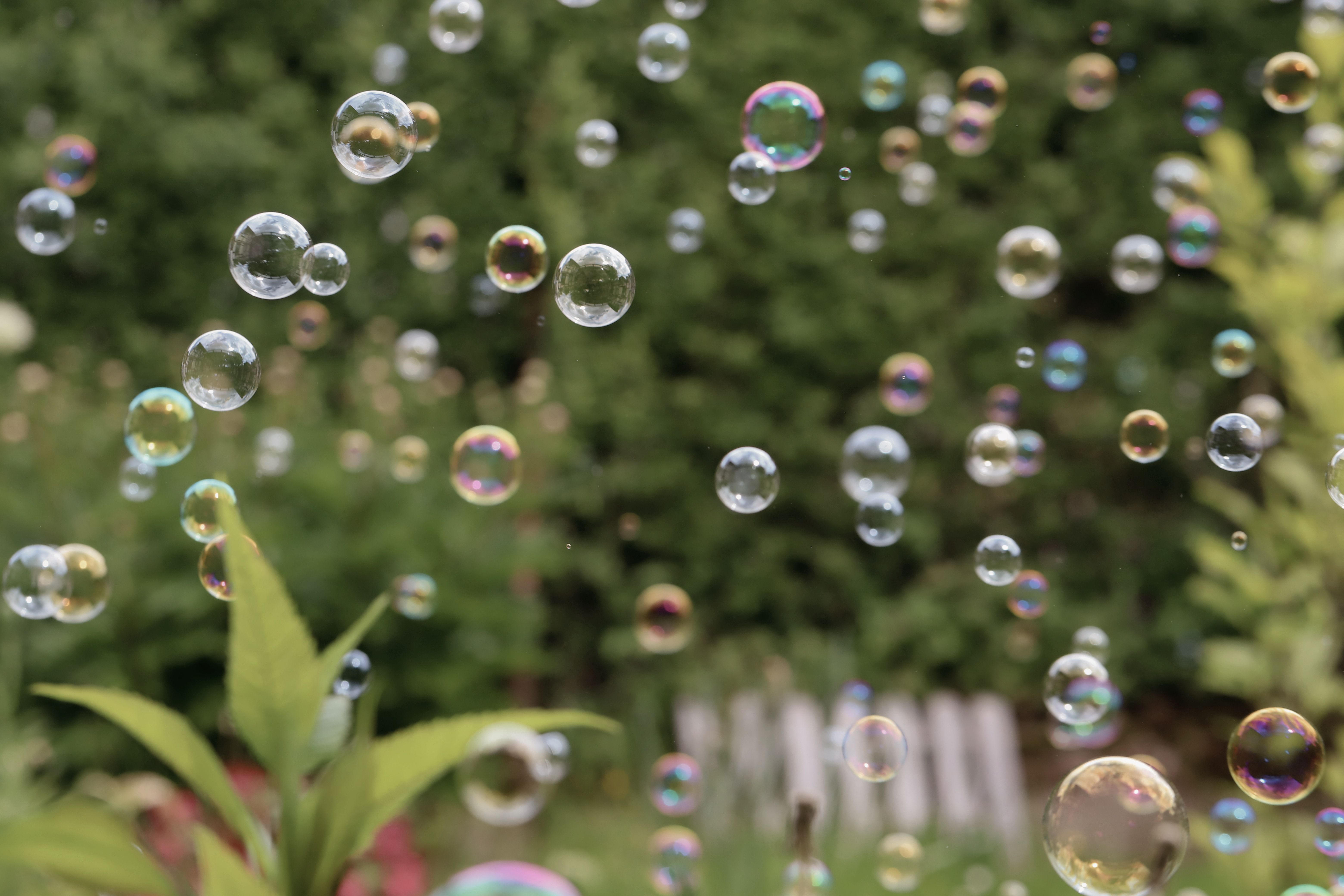 Floating Soap Bubbles in a Lush Garden · Free Stock Photo
