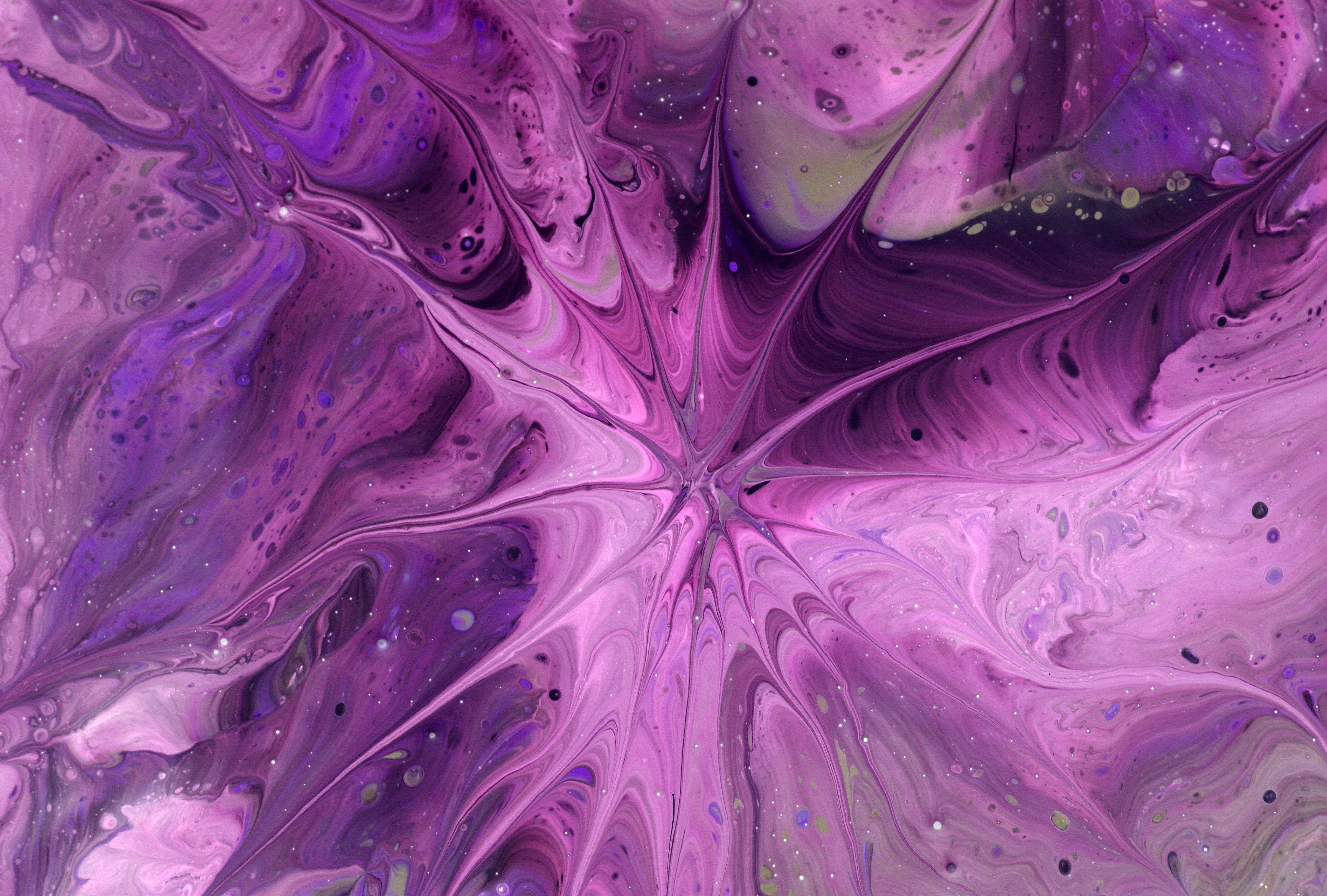 Colourful Purple Photos, Download The BEST Free Colourful Purple Stock ...