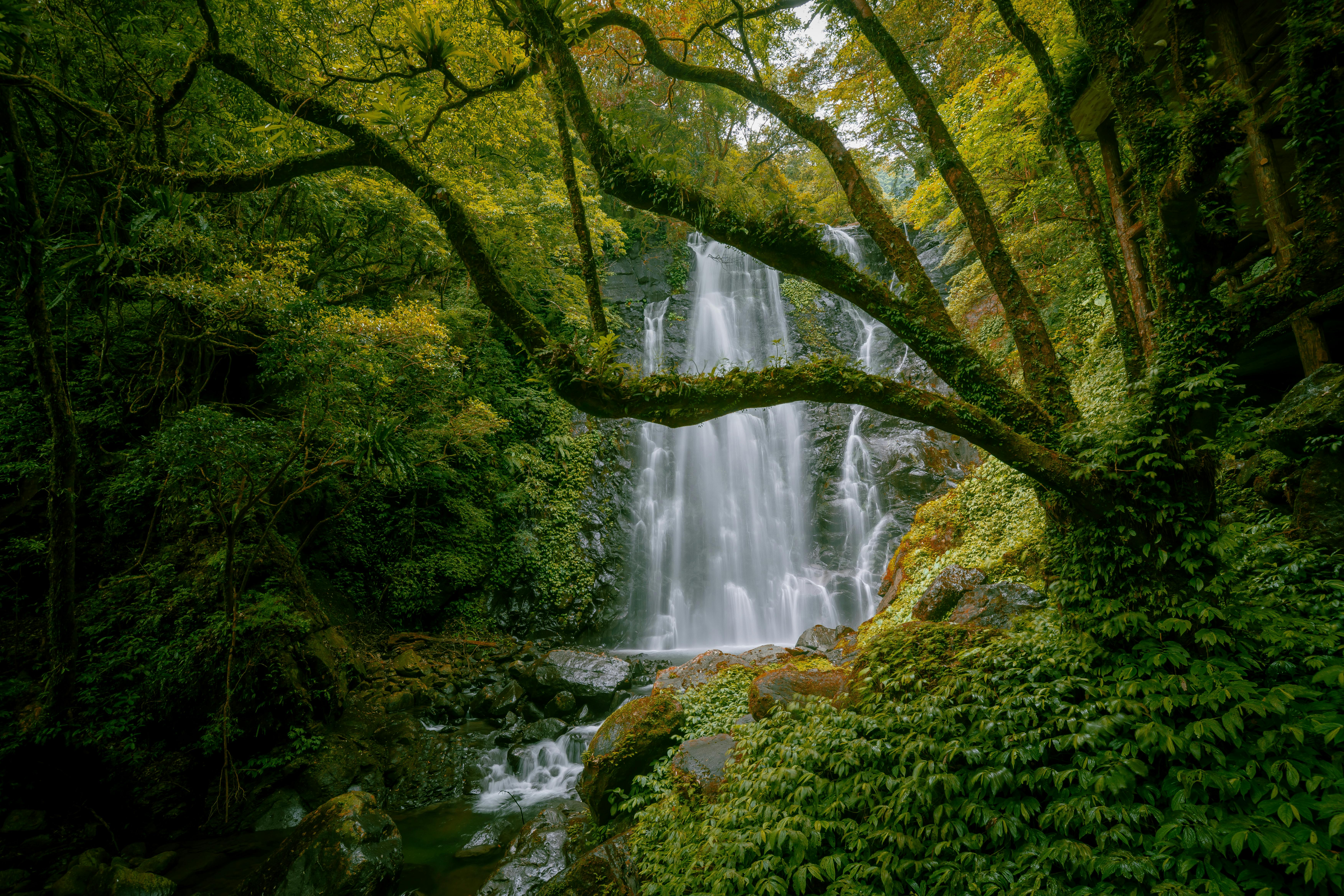 Oxygen Atom Photos, Download The BEST Free Oxygen Atom Stock Photos ...