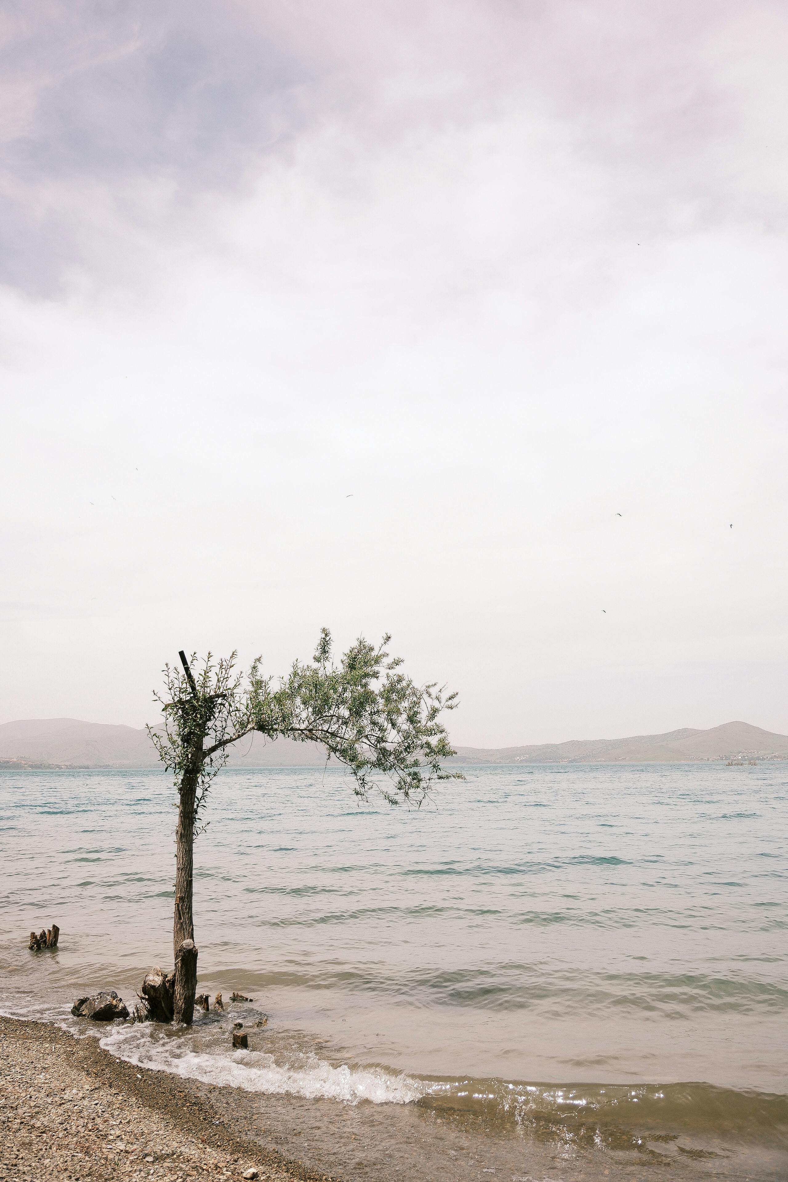 Calming Photos, Download The BEST Free Calming Stock Photos & HD Images