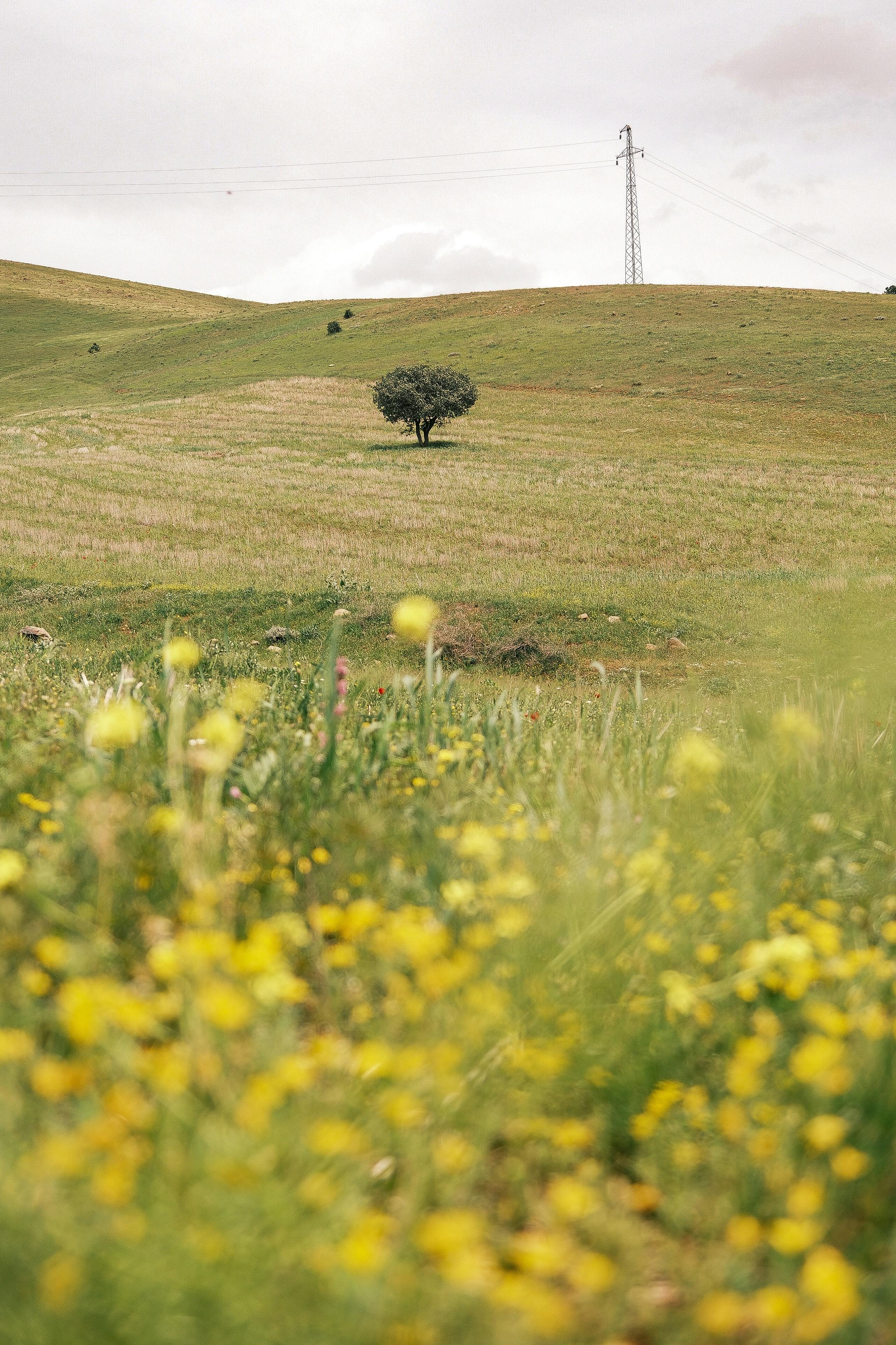 Isolated Land Photos, Download The BEST Free Isolated Land Stock Photos ...