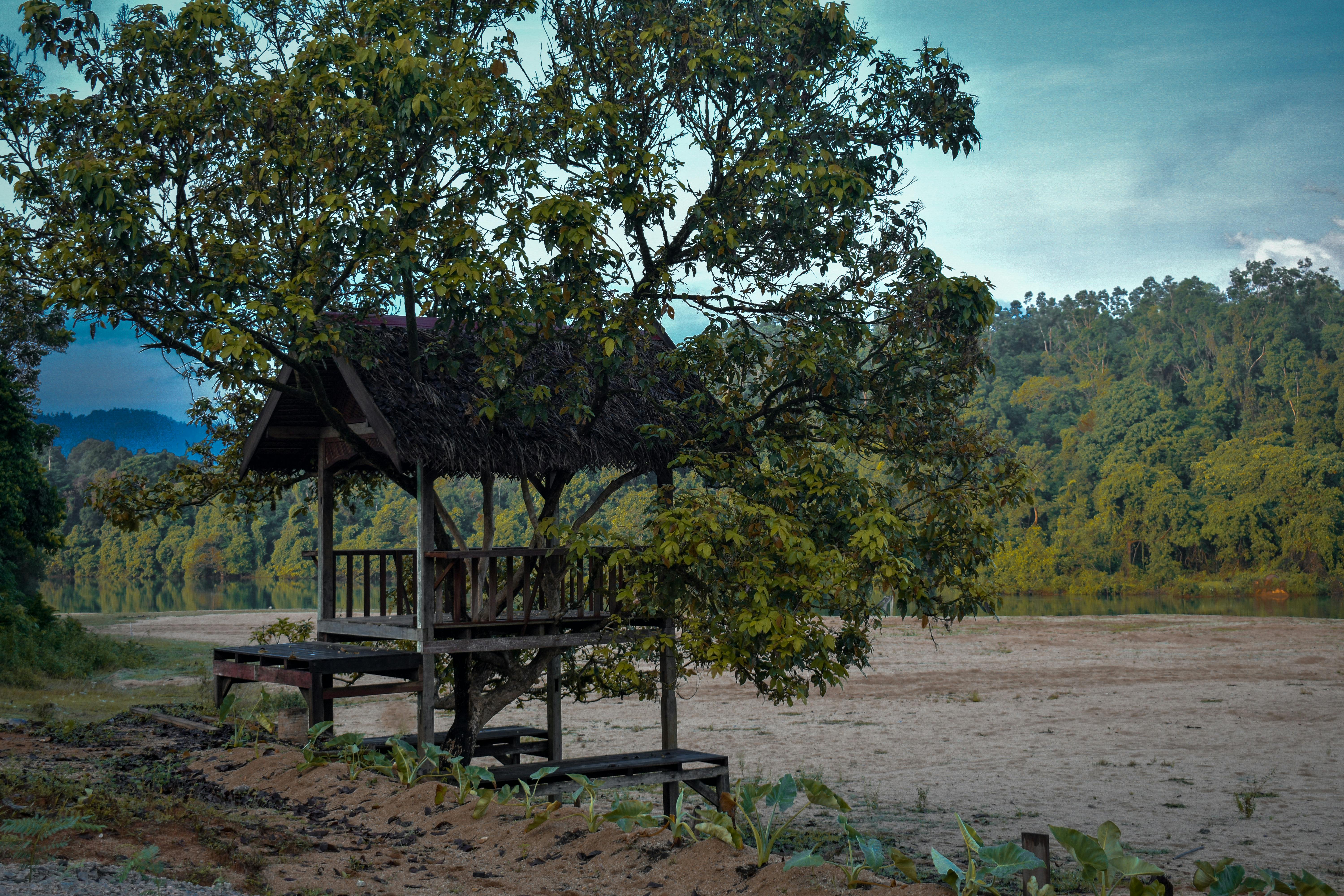 Khmer Hut Photos, Download The BEST Free Khmer Hut Stock Photos & HD Images