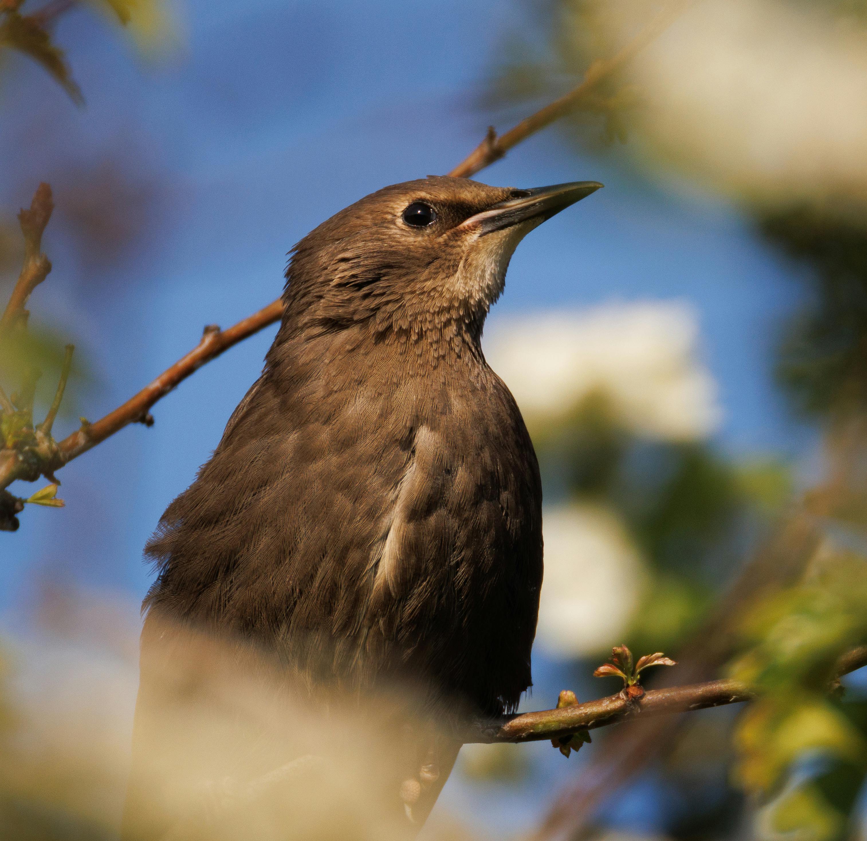 Tarp Background Photos, Download The BEST Free Tarp Background Stock ...