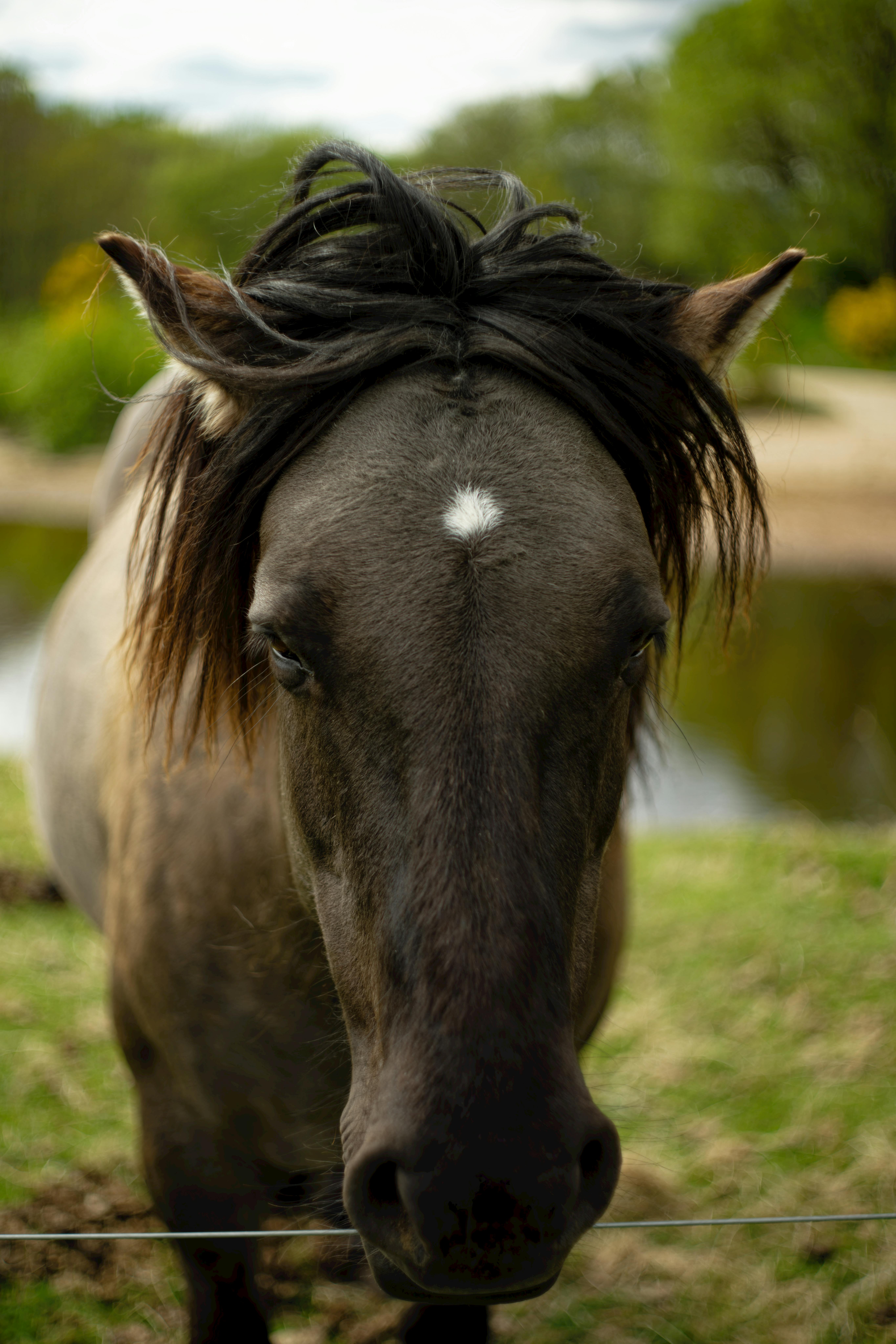 Calming Photos, Download The BEST Free Calming Stock Photos & HD Images