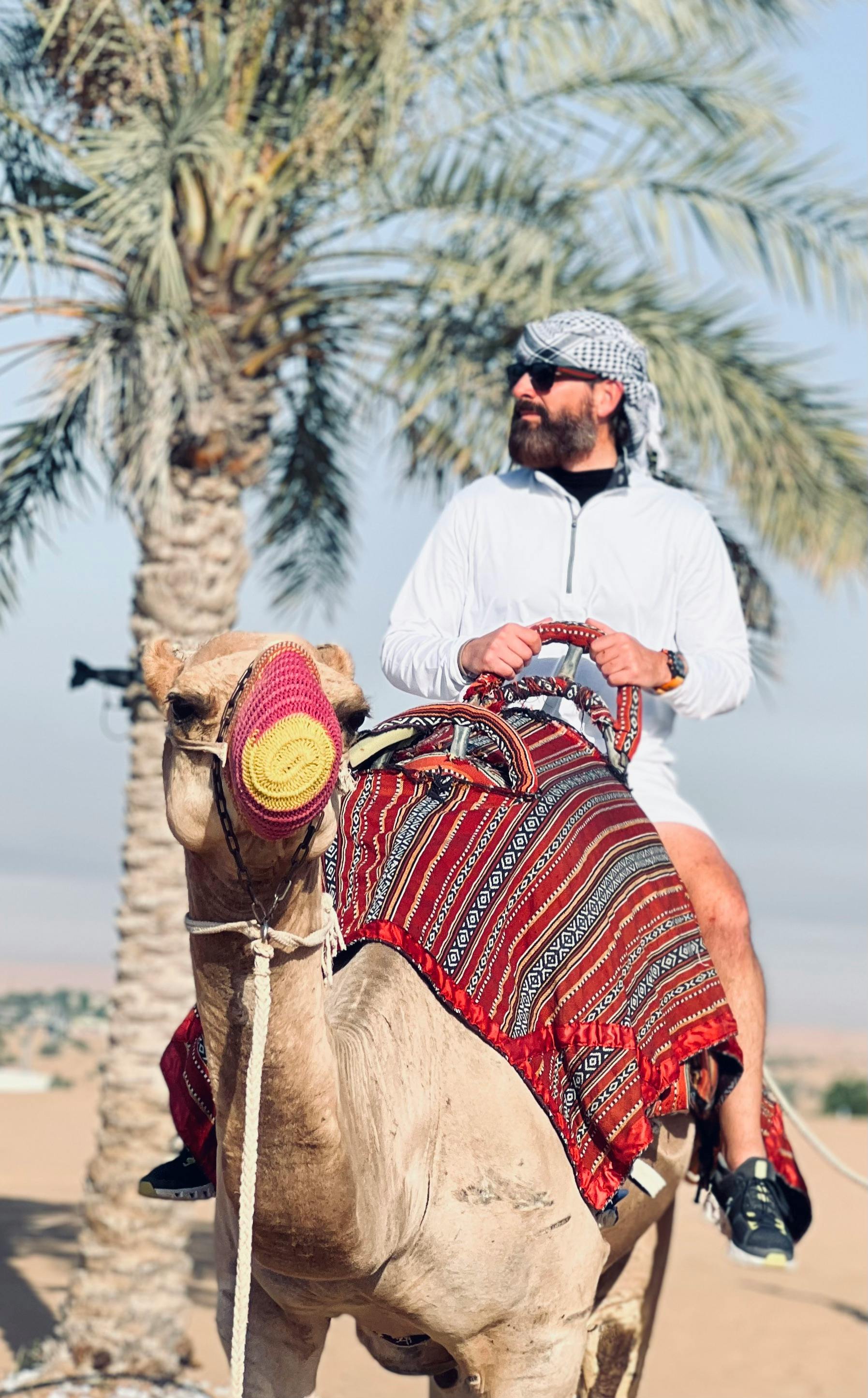 Man Riding Camel in Desert Oasis · Free Stock Photo