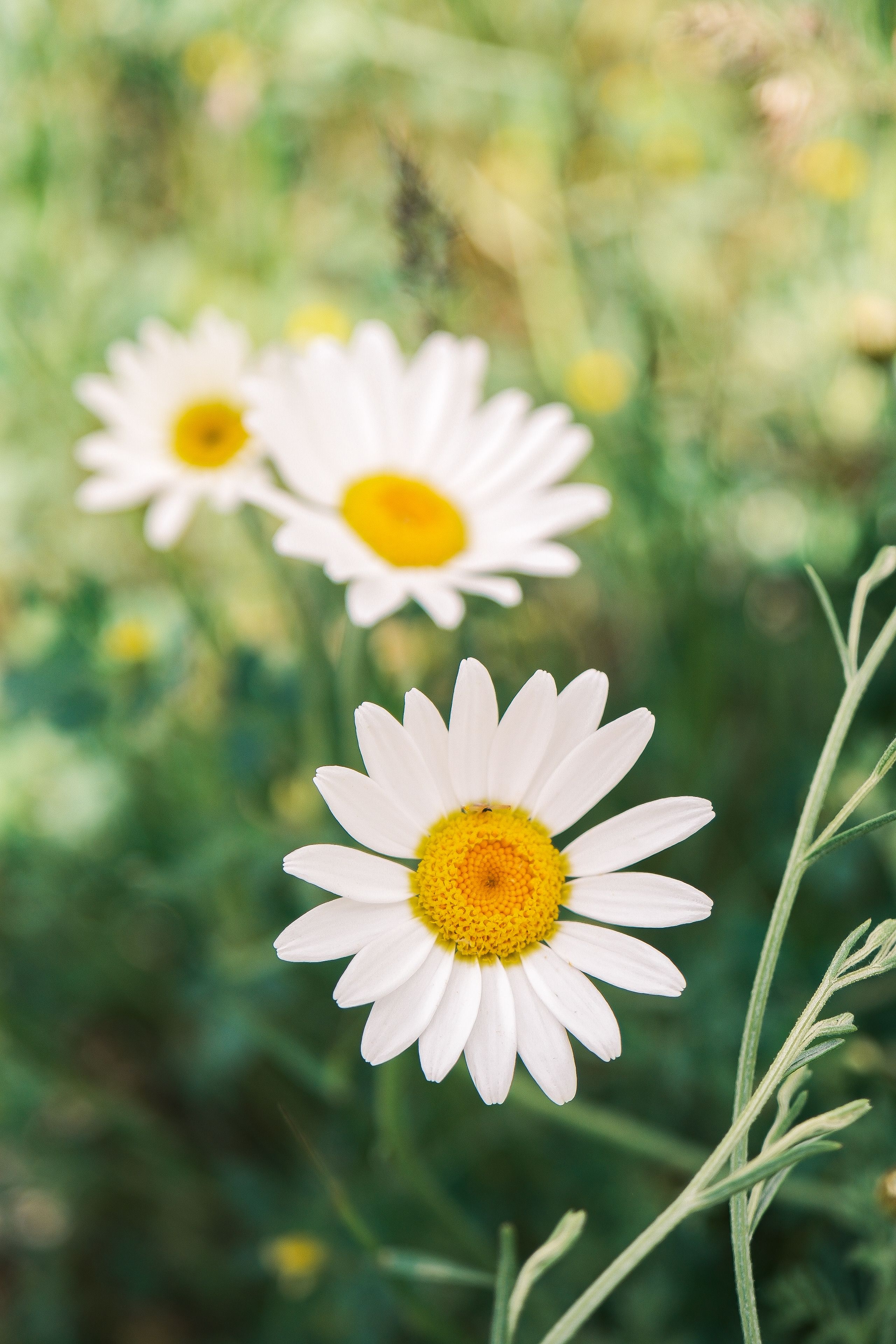 Calming Photos, Download The BEST Free Calming Stock Photos & HD Images
