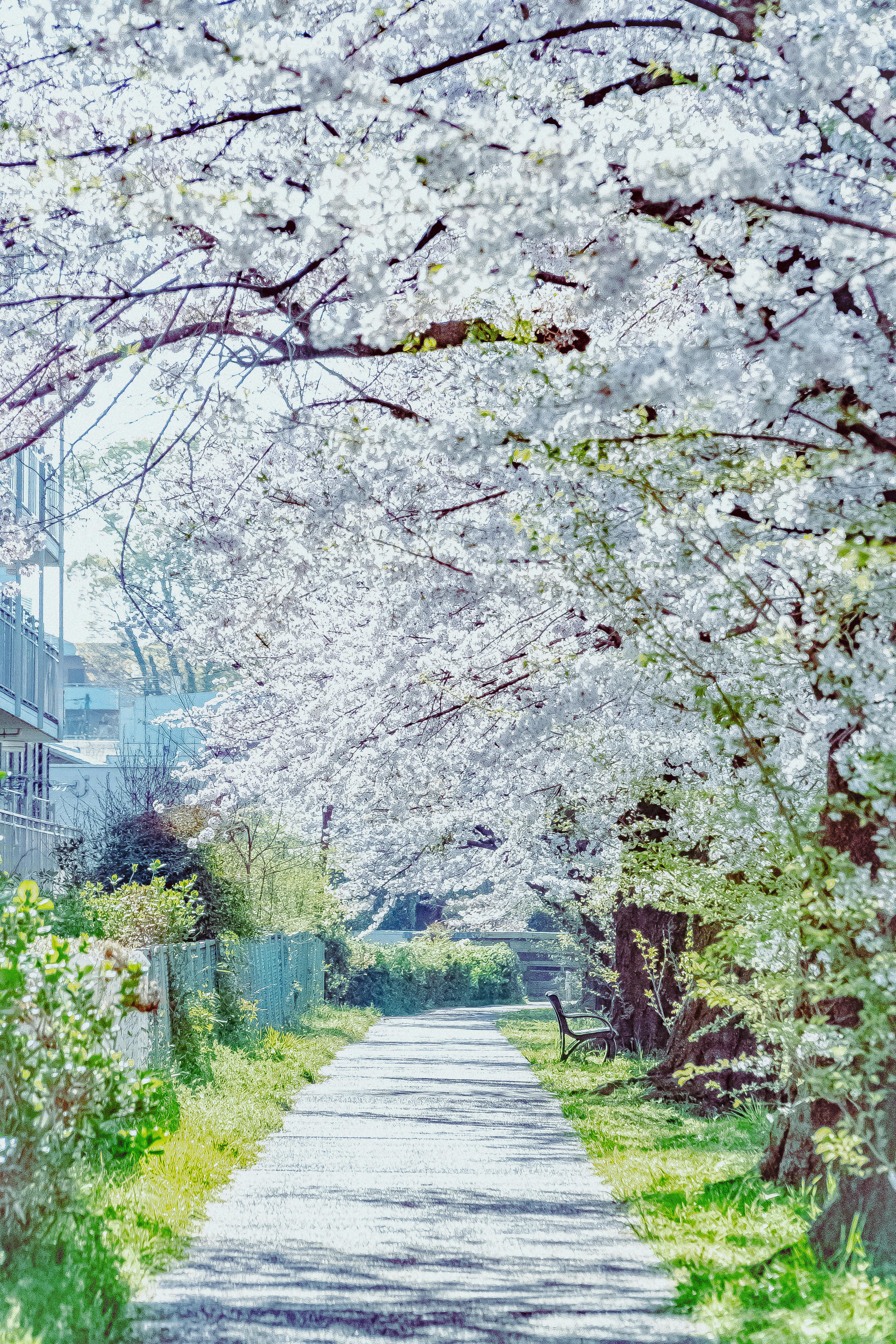 Hale Path Photos, Download The BEST Free Hale Path Stock Photos & HD Images