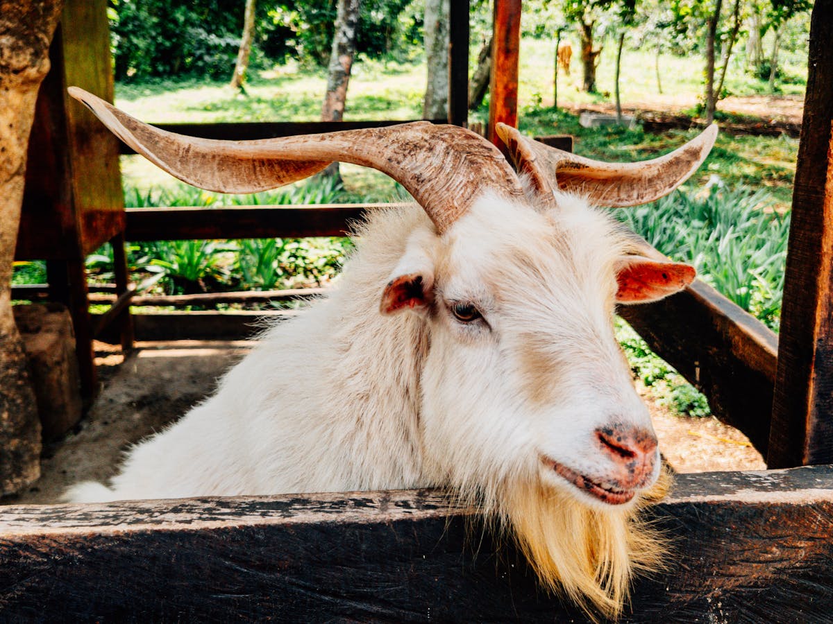 Guatemala Photos, Download The BEST Free Guatemala Stock Photos & HD Images