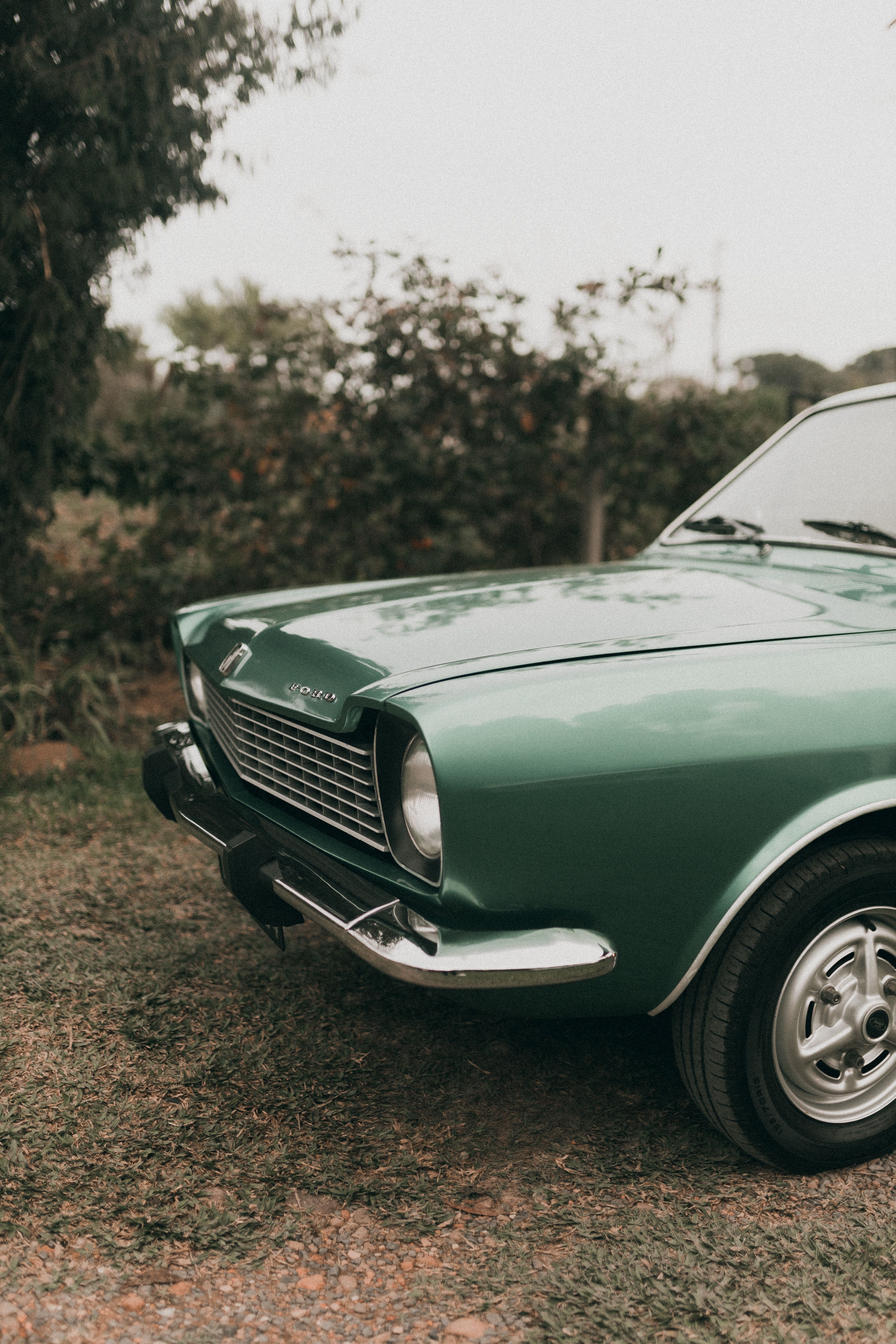 Vintage Green Classic Car in Outdoor Setting · Free Stock Photo