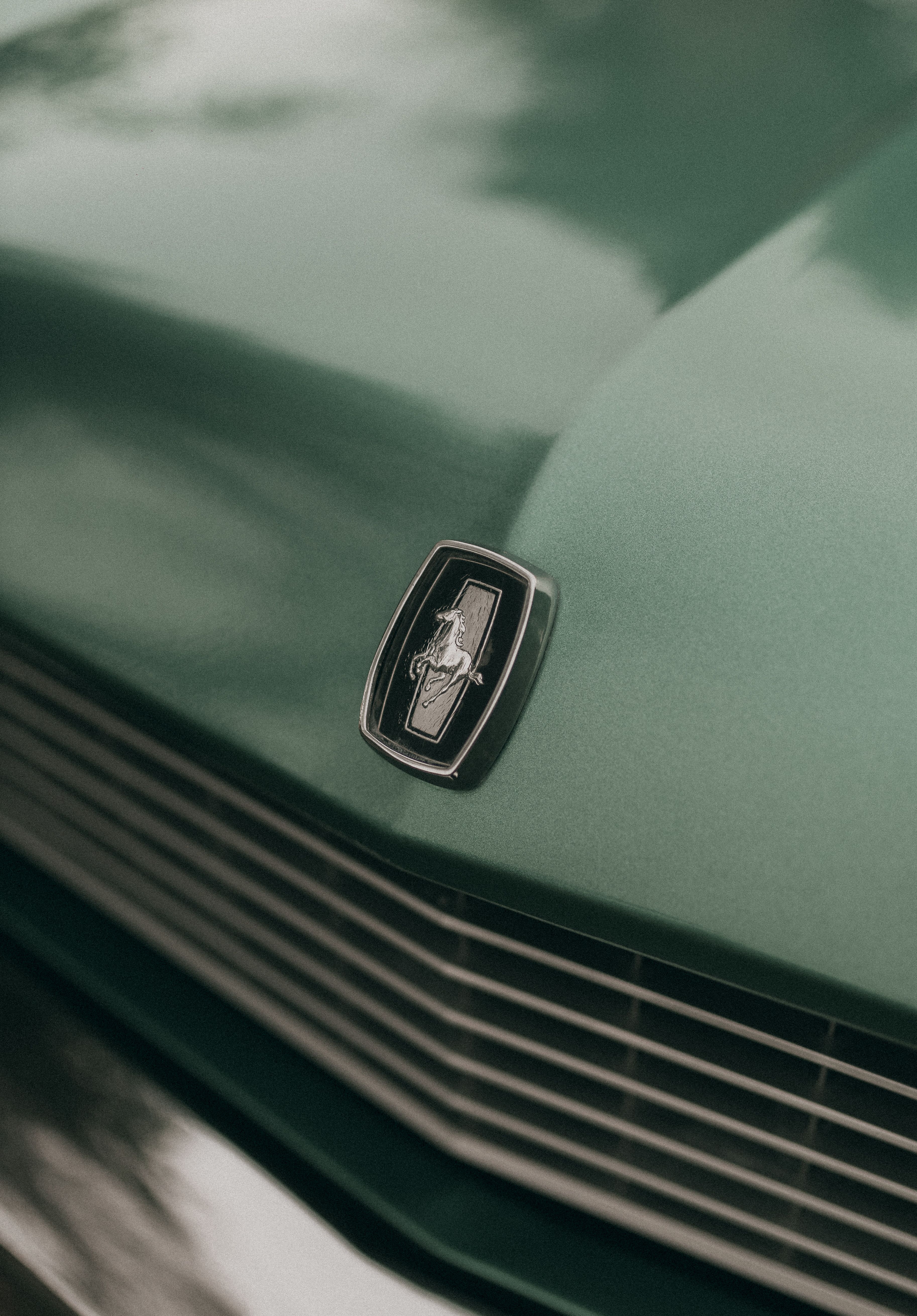 Classic Car Emblem Close-Up on Green Hood · Free Stock Photo