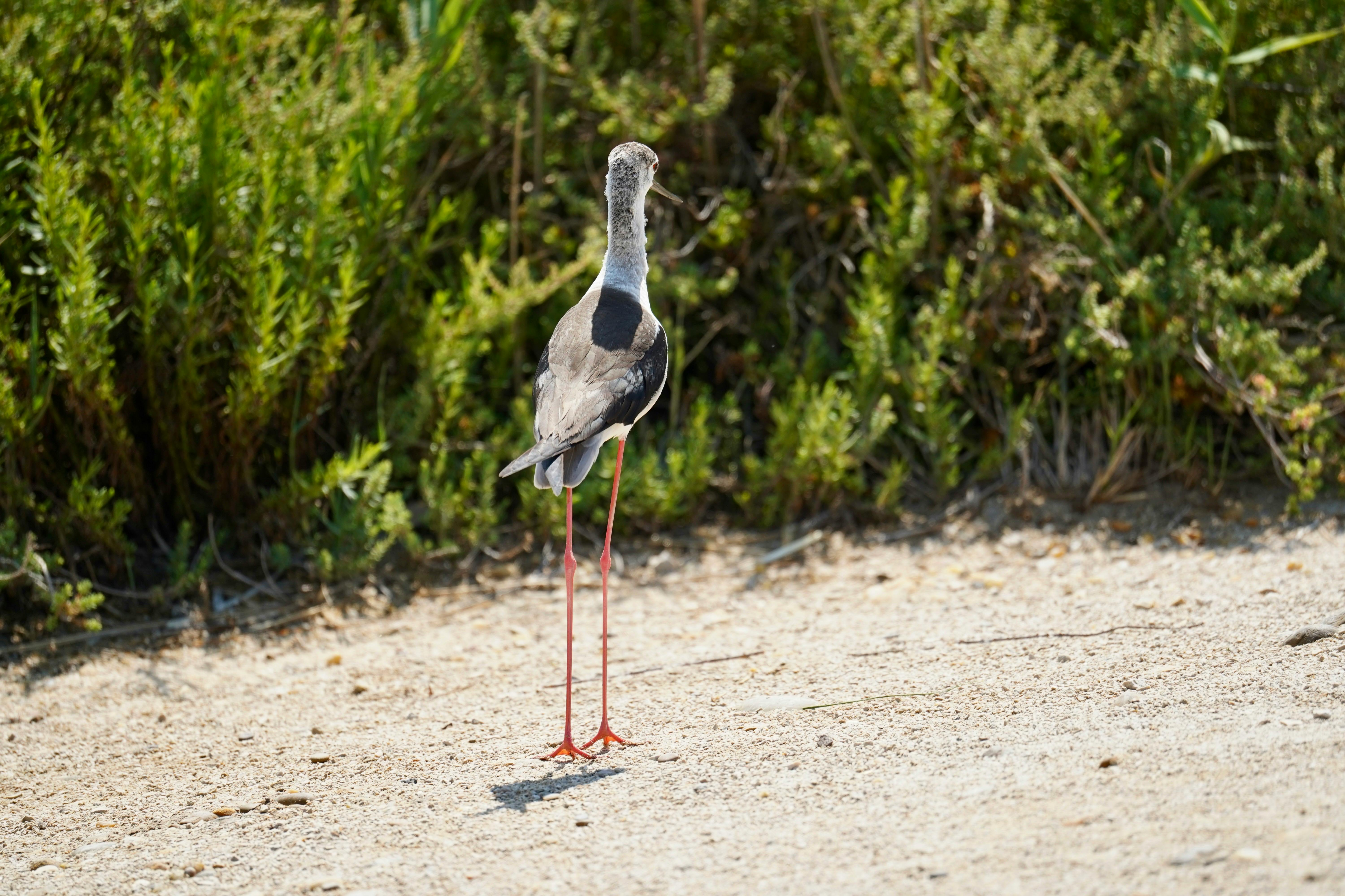 Sad+Satan+Images+Uncensored Photos, Download The BEST Free Sad+Satan ...