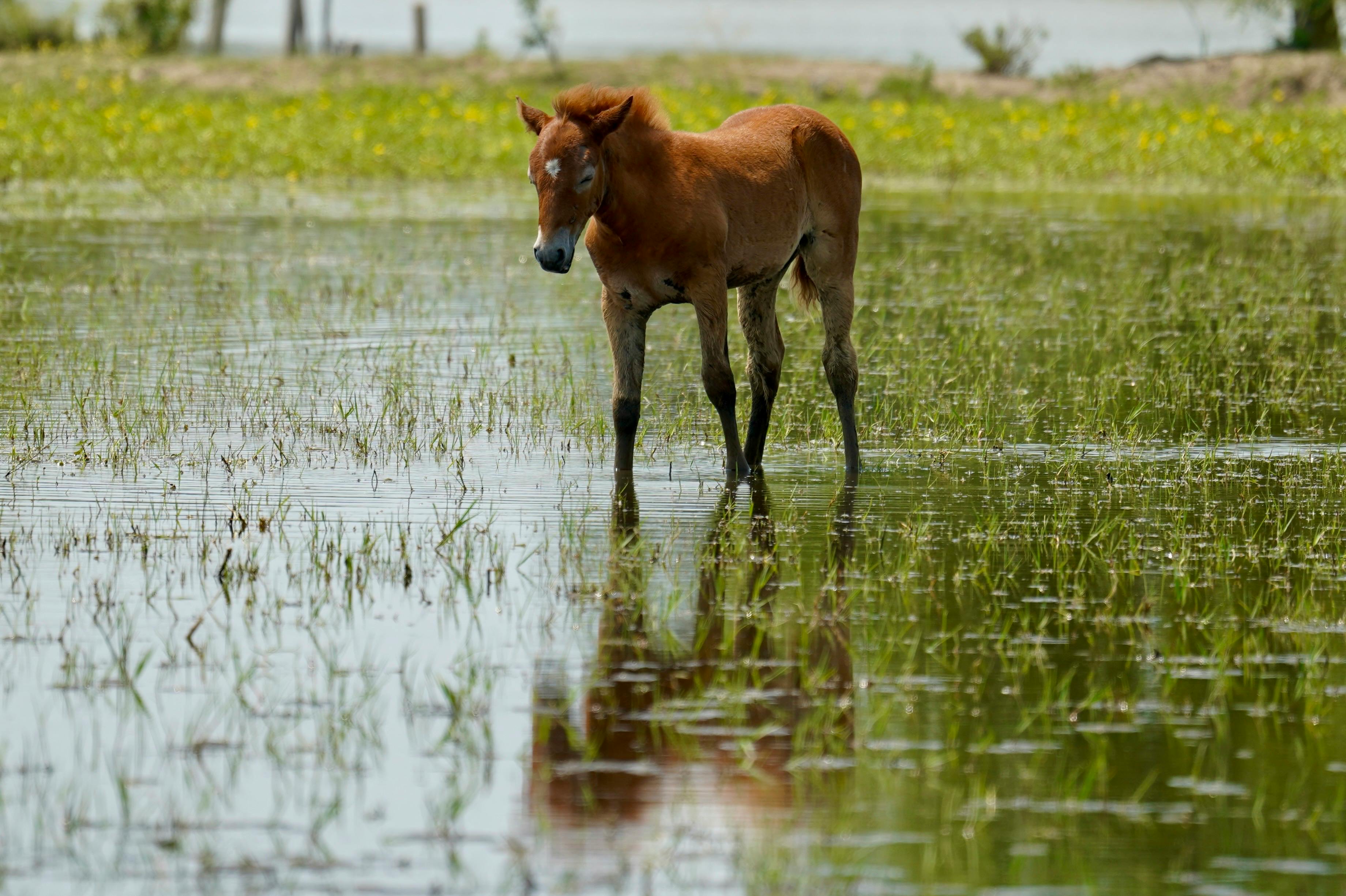 Sad+Satan+Images+Uncensored Photos, Download The BEST Free Sad+Satan ...