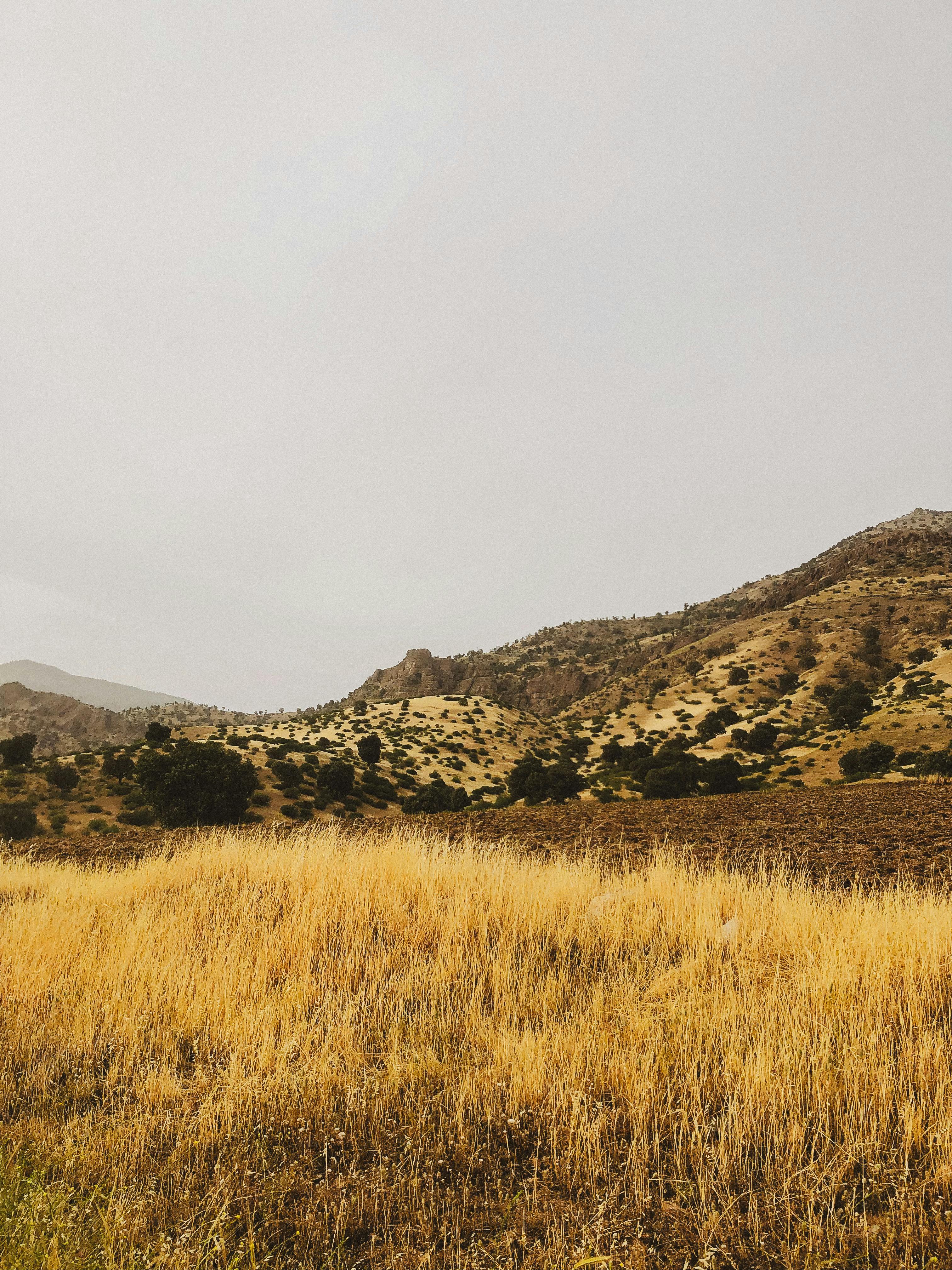 5mb Photo Photos, Download The BEST Free 5mb Photo Stock Photos & HD Images