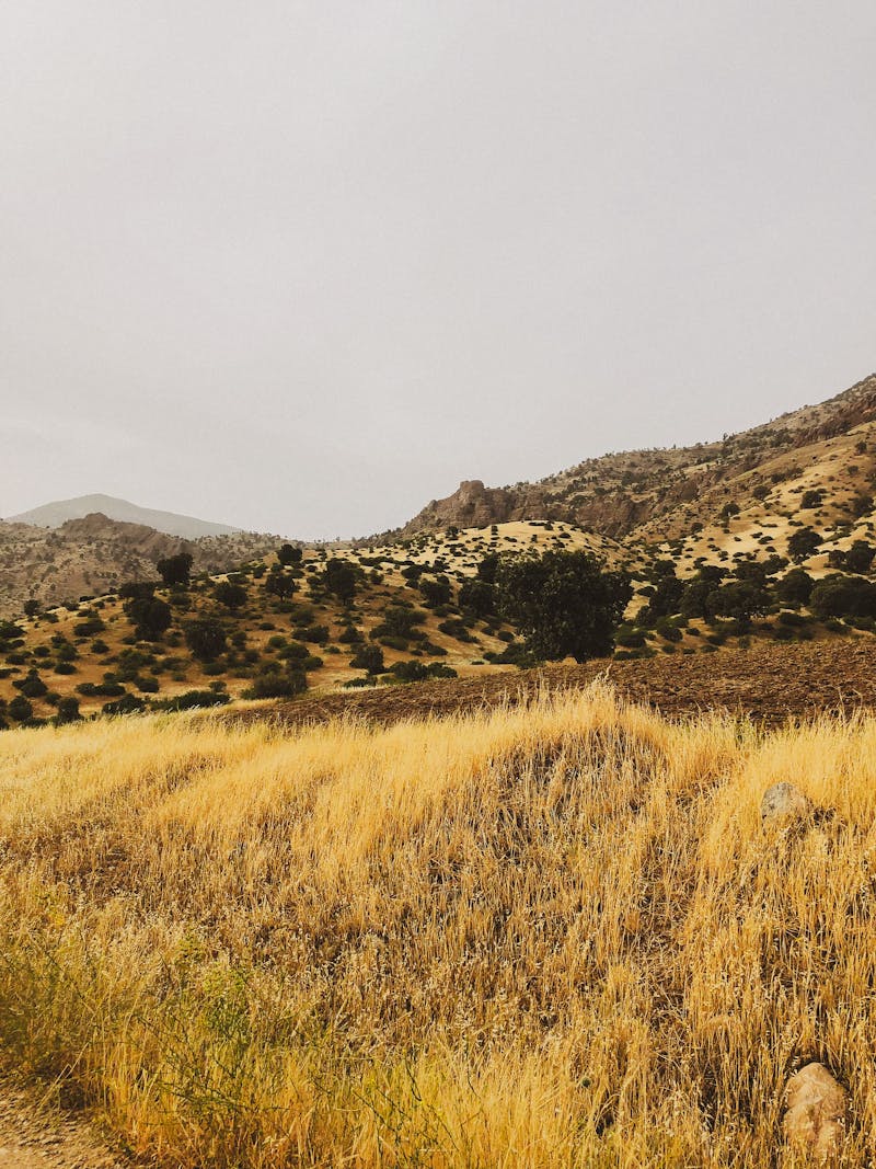 Simple Landscape Photos, Download The BEST Free Simple Landscape Stock ...