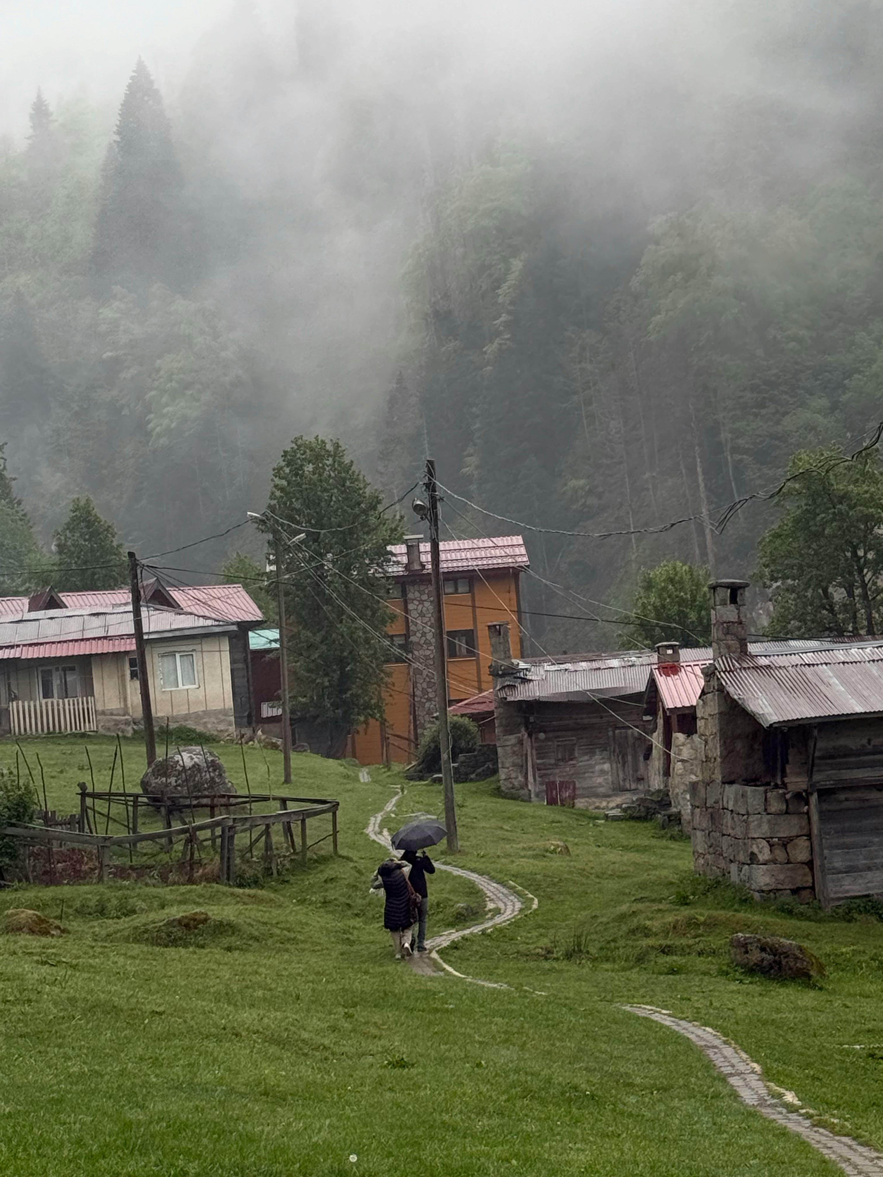 Foggy Village Scene in Rize, Türkiye · Free Stock Photo