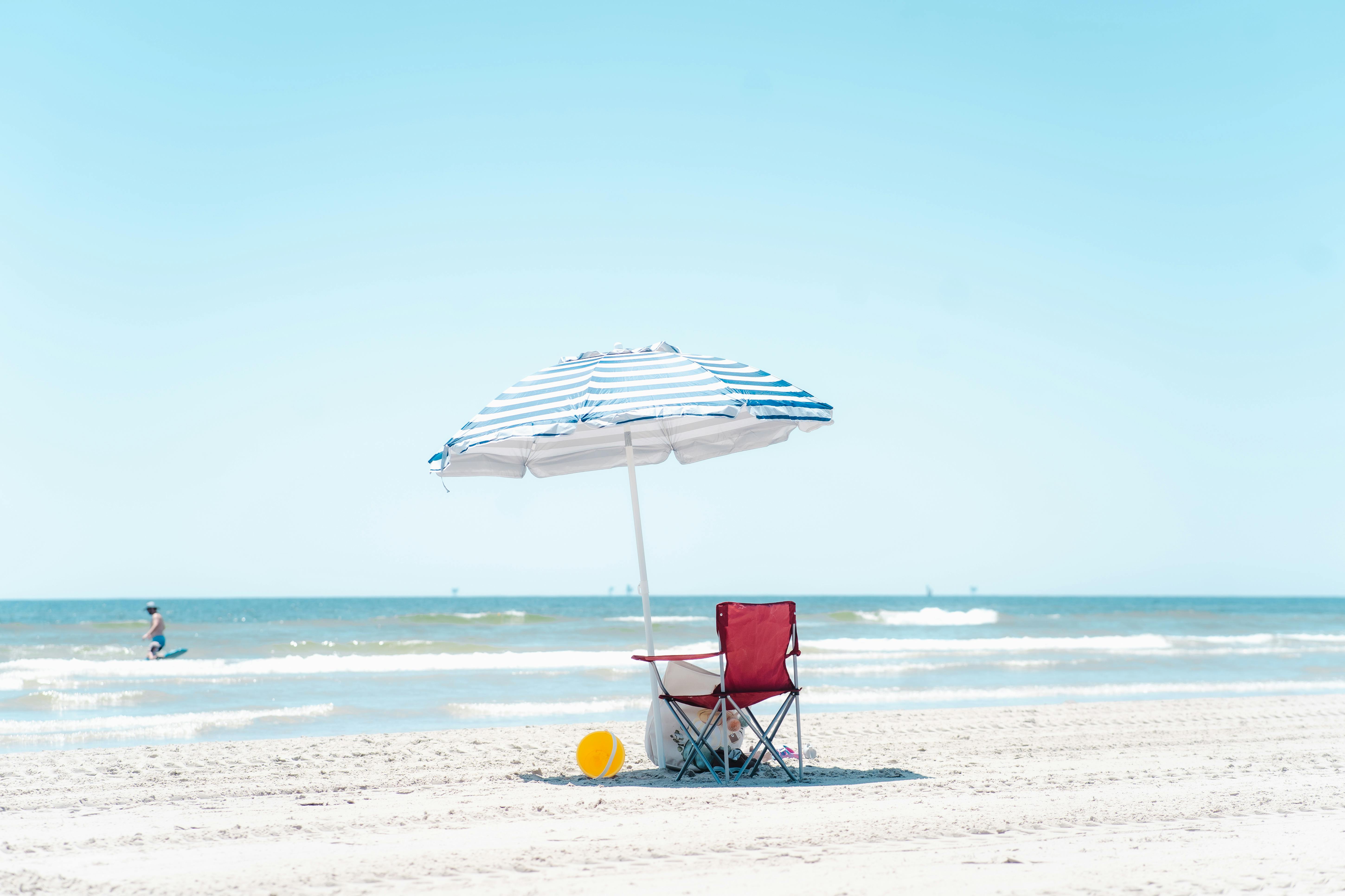 Red Panda Wave Photos, Download The BEST Free Red Panda Wave Stock ...