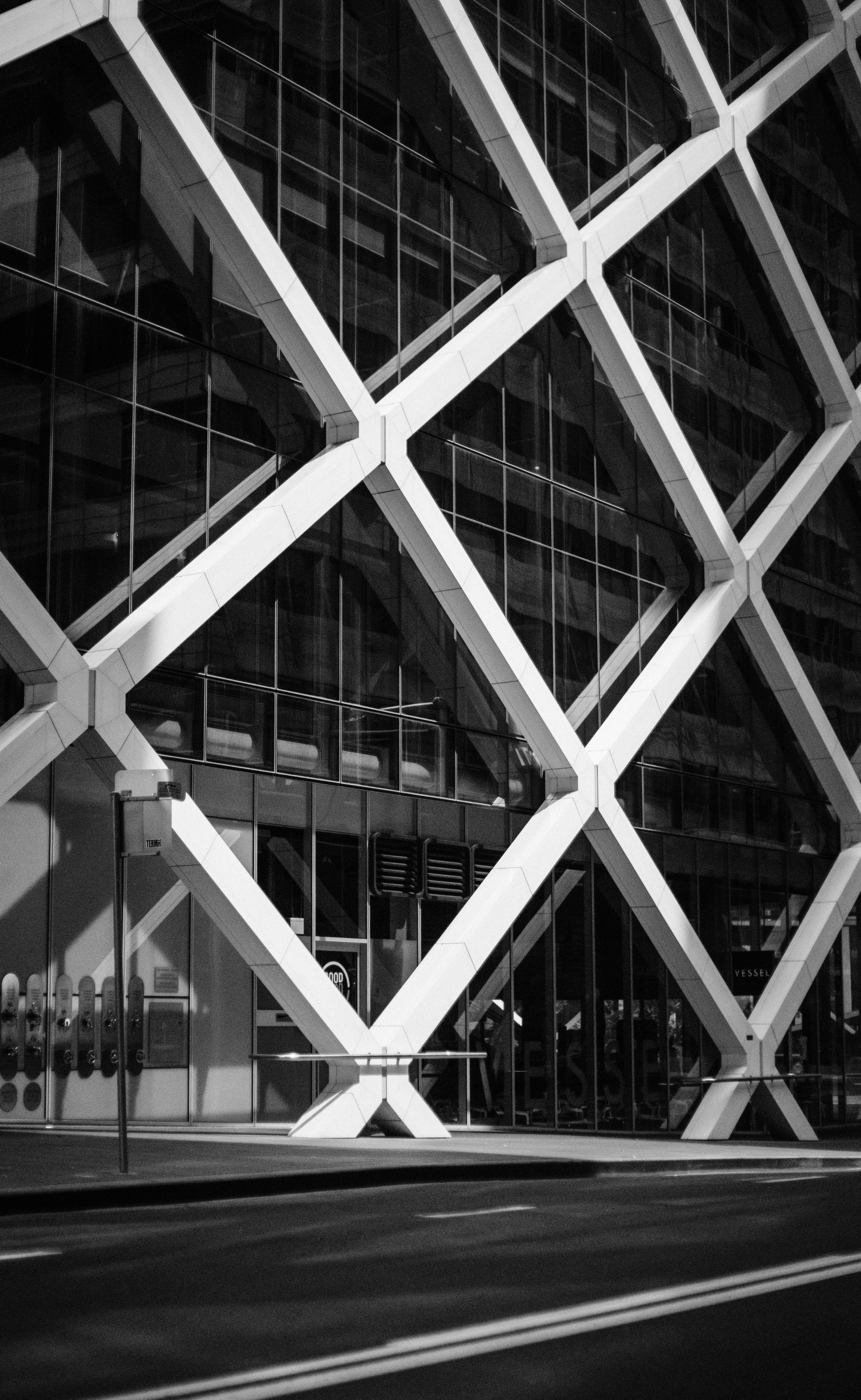 검은색 티셔츠, 남성, 남성 모델에 관한 무료 스톡 사진