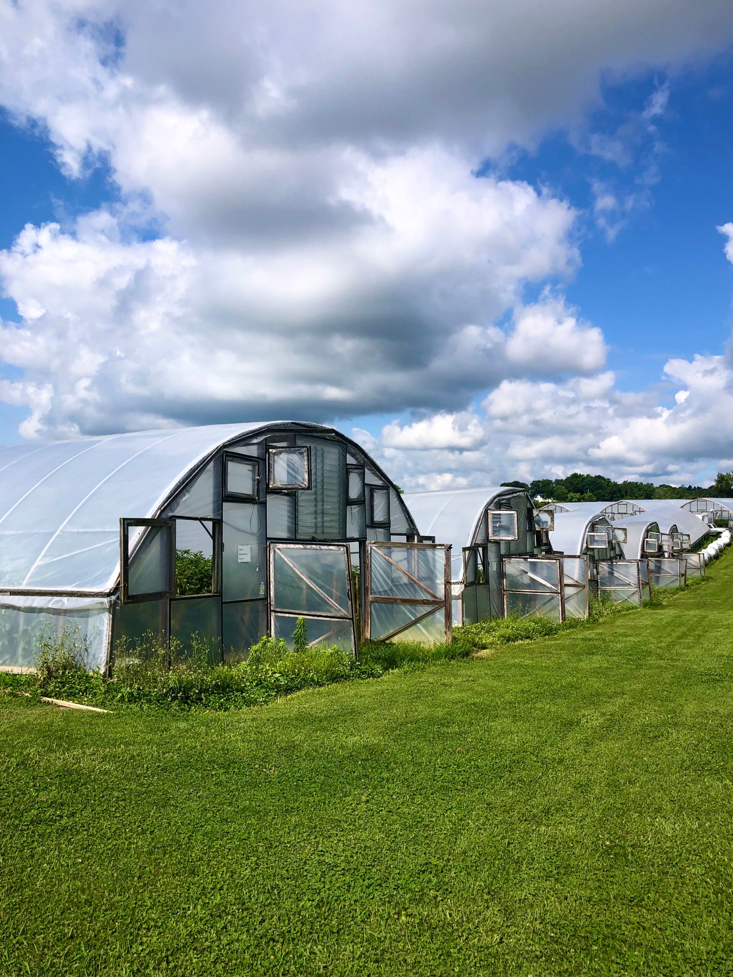 Polycarbonate Greenhouse Photos, Download The BEST Free Polycarbonate ...