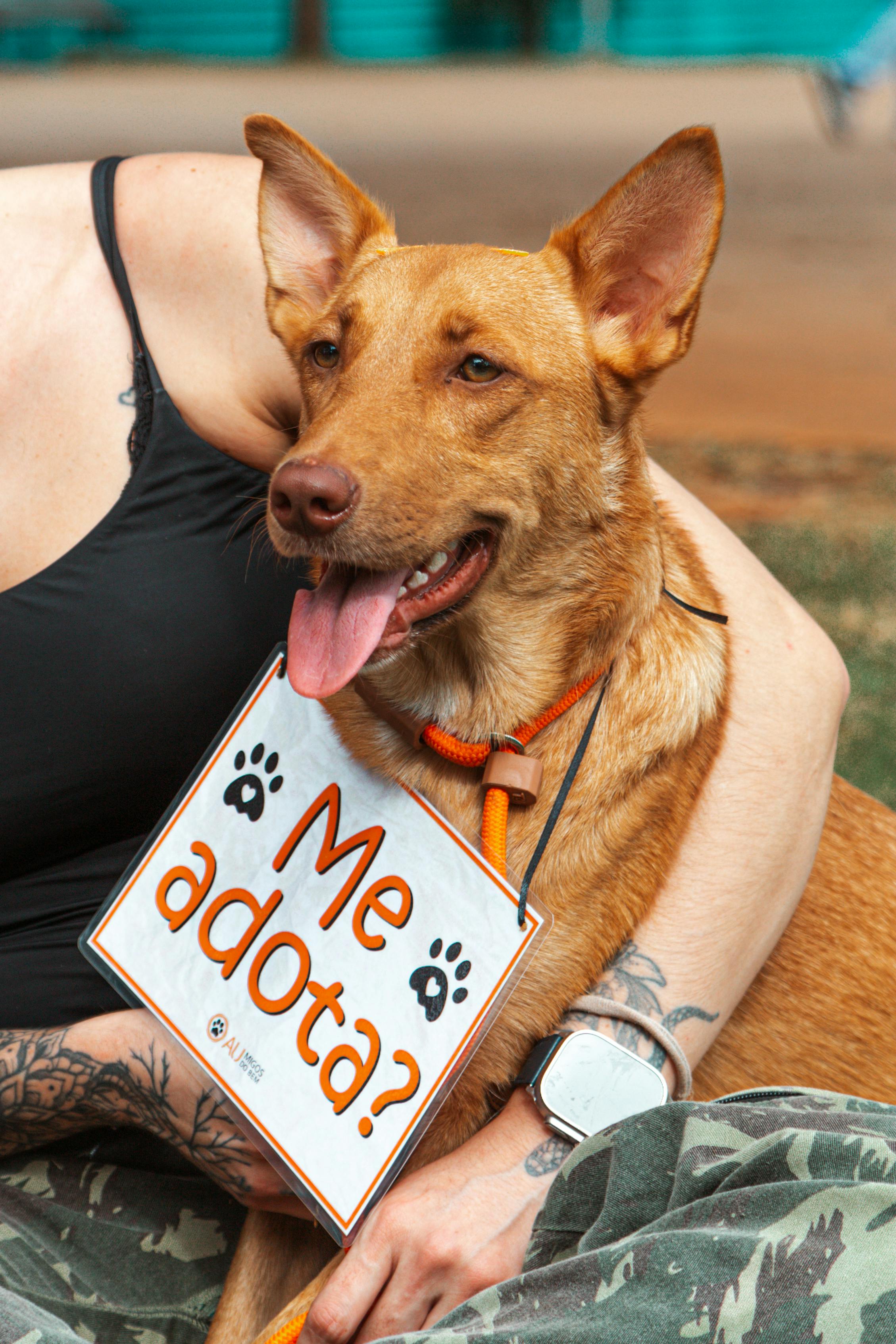 Element Of Hope Photos, Download The BEST Free Element Of Hope Stock ...