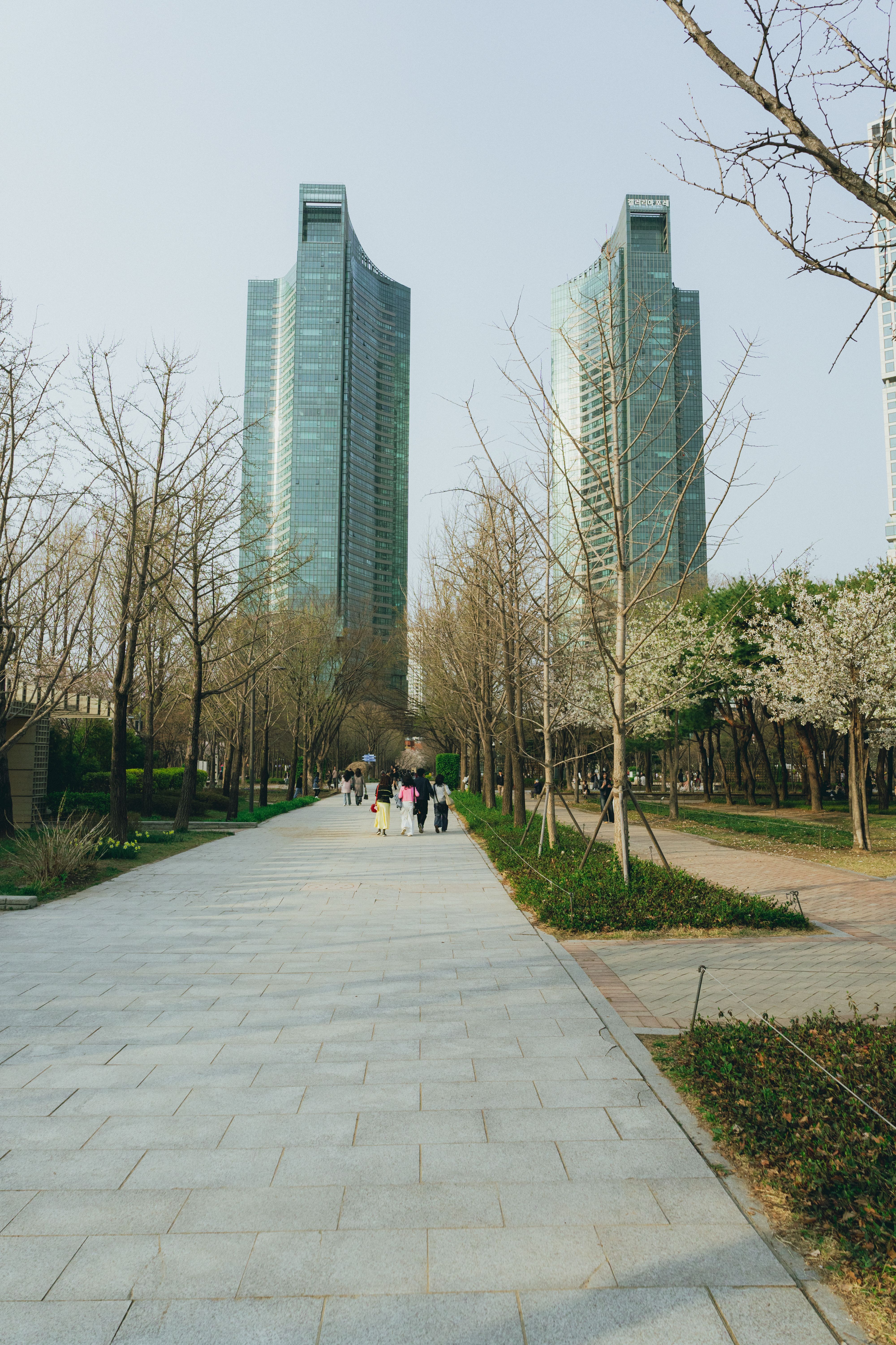 Spring Stroll in Seoul's Modern Cityscape · Free Stock Photo