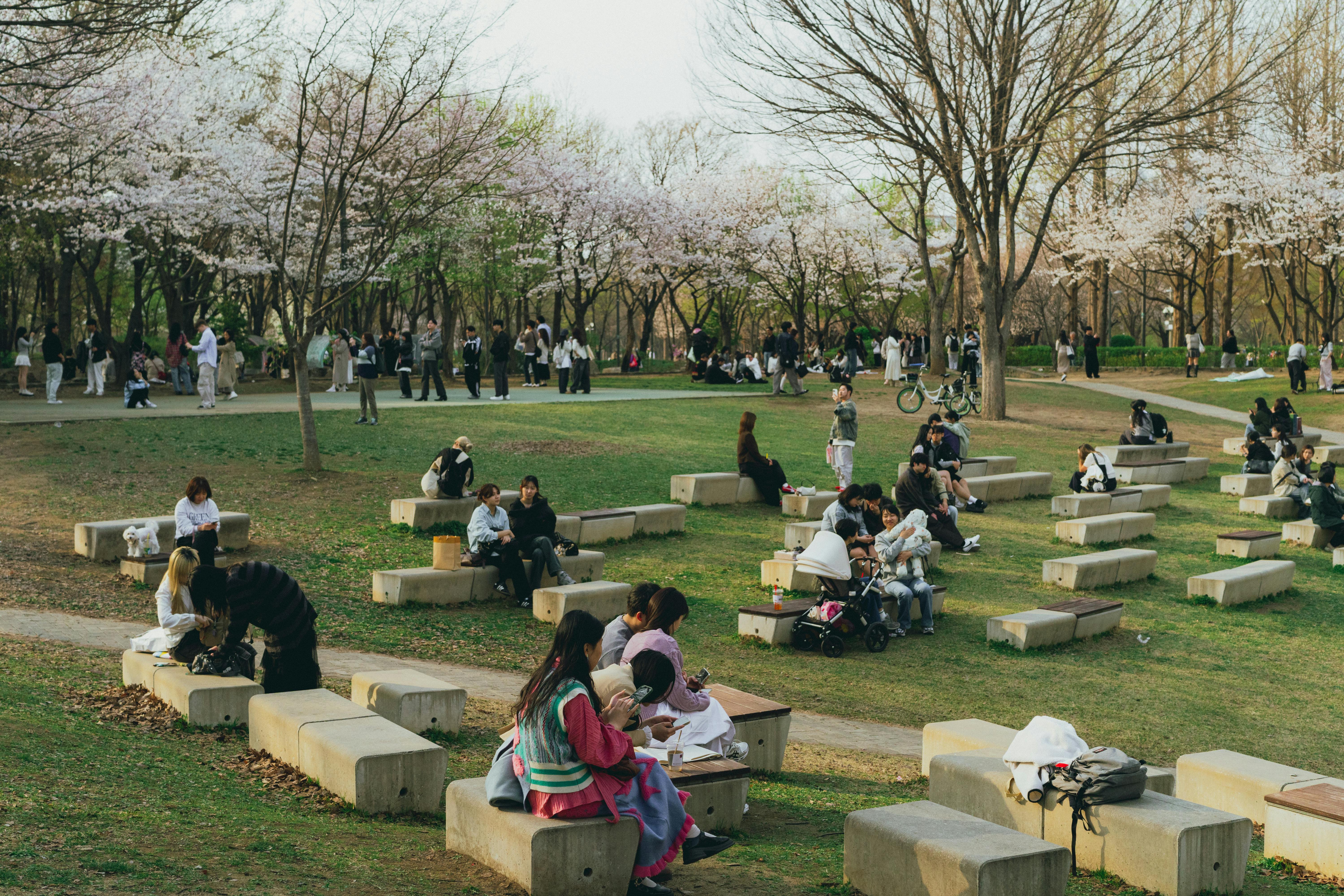 Couples Not Agreeing Photos, Download The BEST Free Couples Not ...