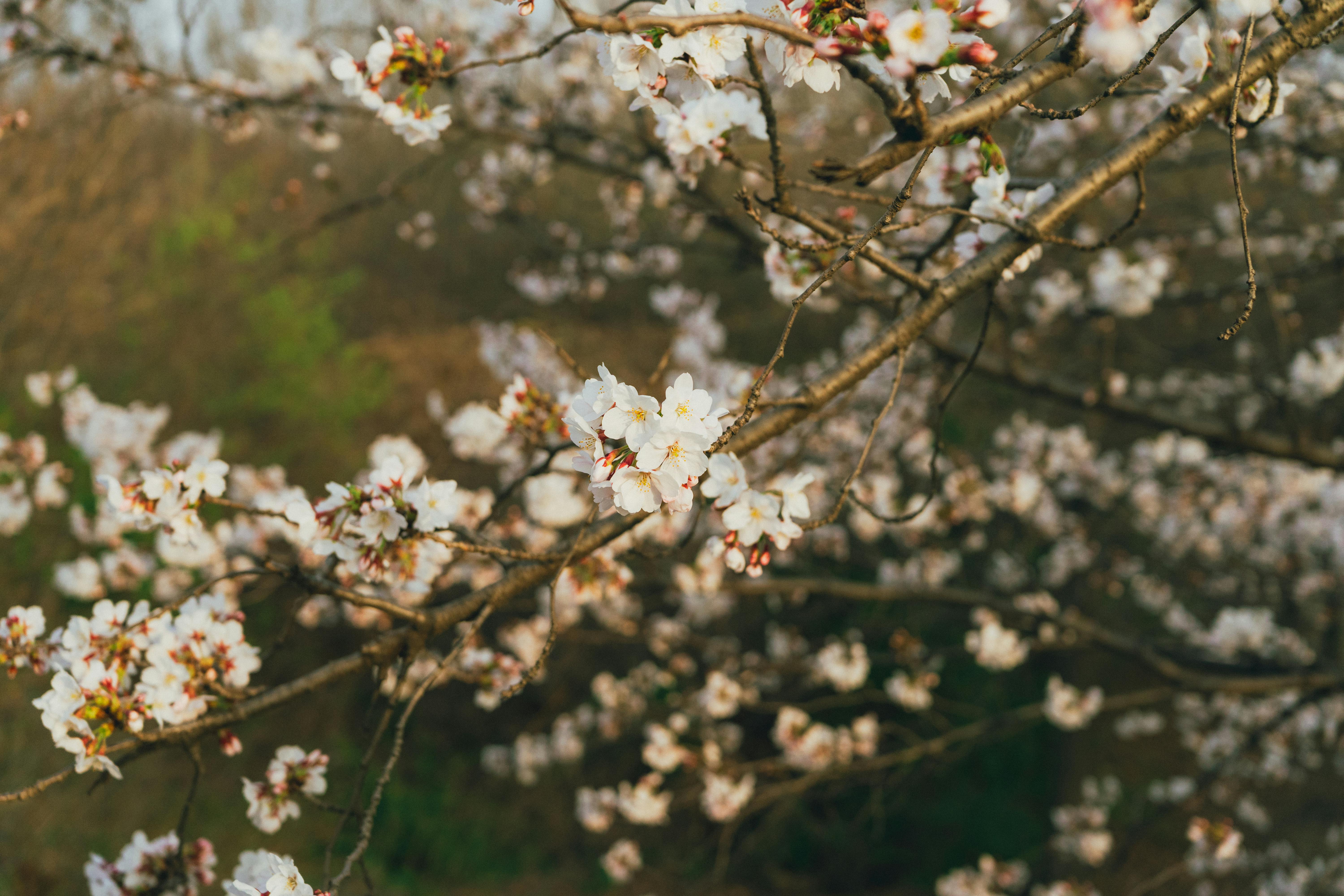 Motivational+Wallpaper+For+Students+Laptop Photos, Download The BEST ...