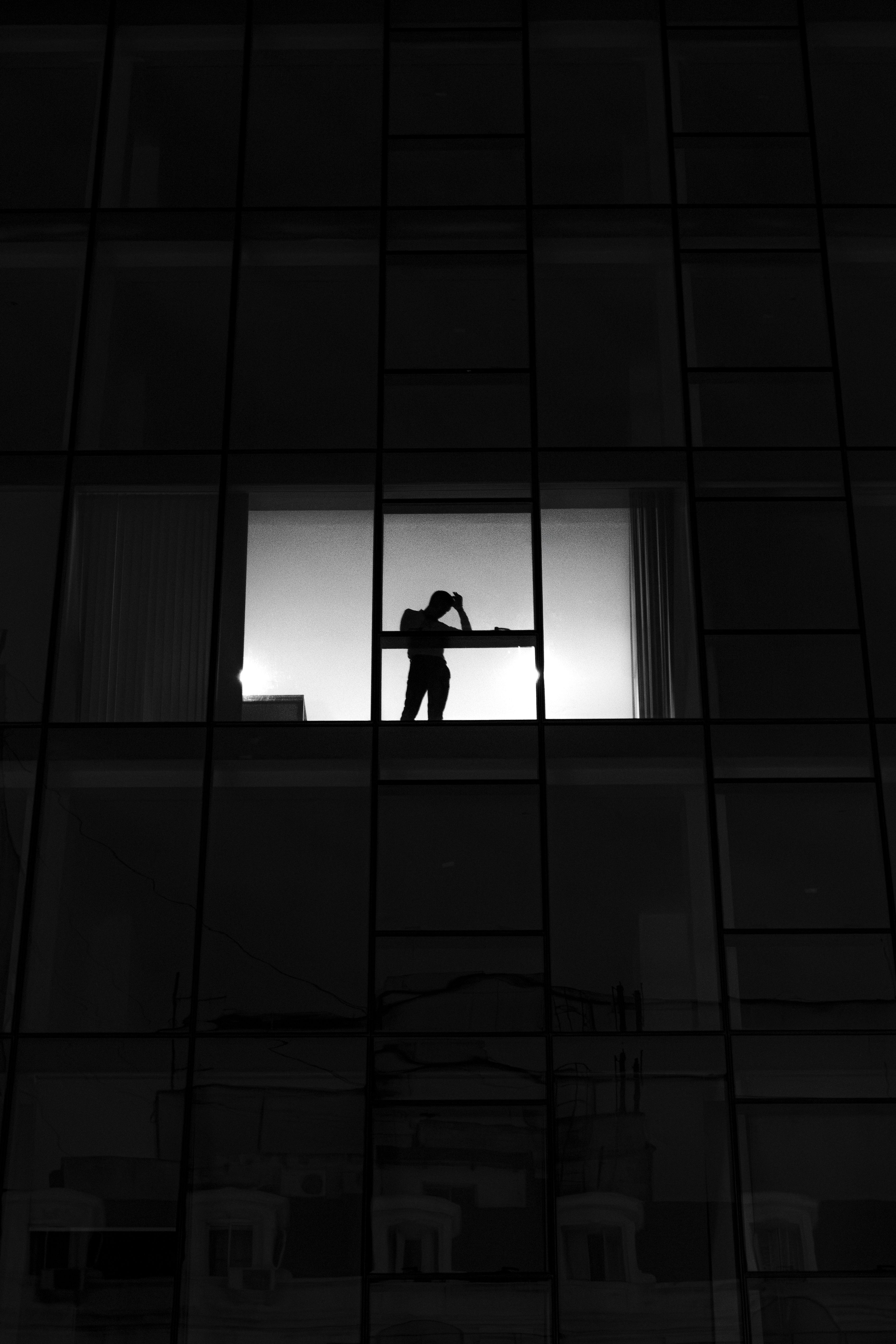 High Contrast Photos, Download The BEST Free High Contrast Stock Photos ...