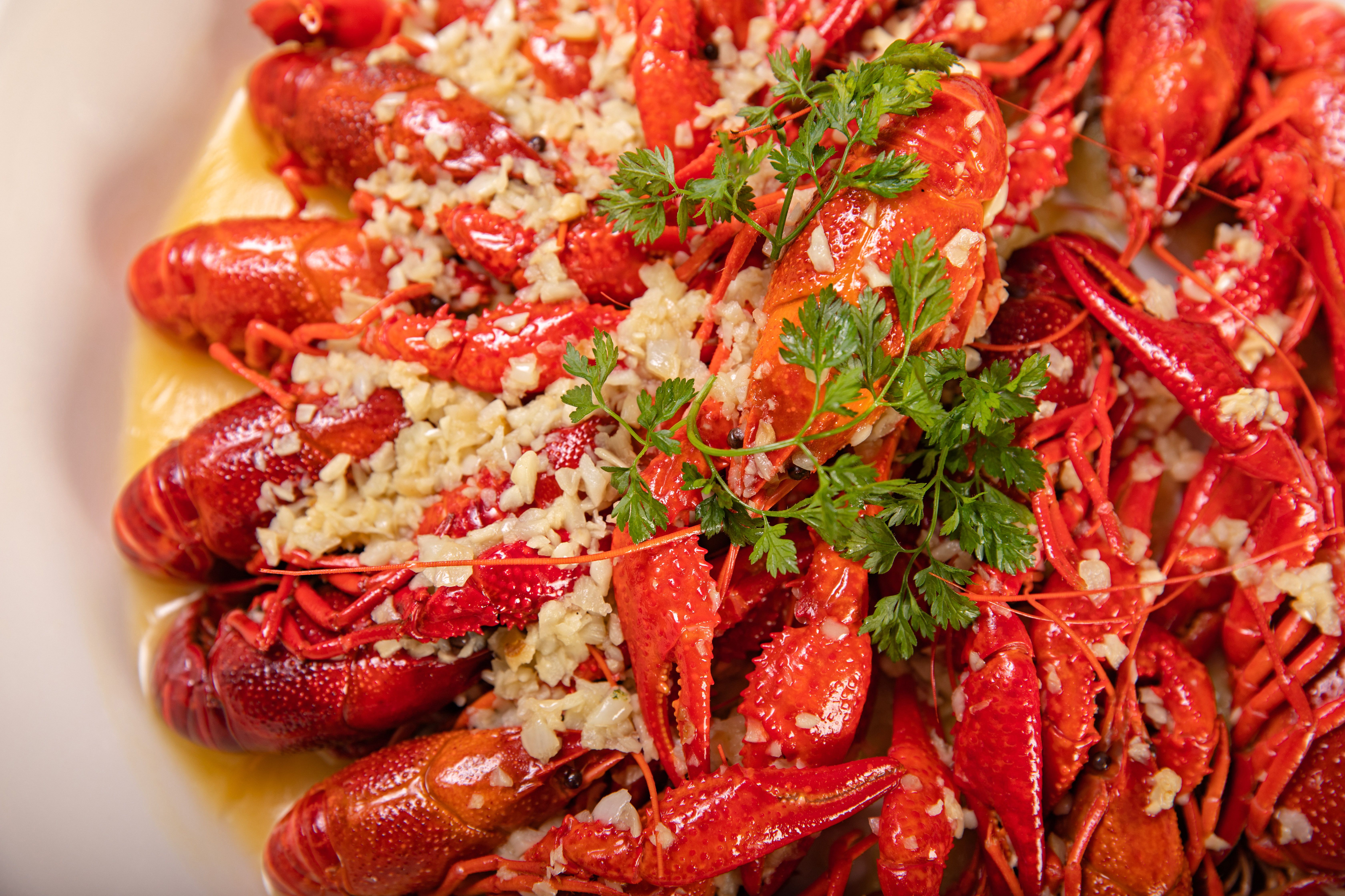 Crawfish Photos, Download The BEST Free Crawfish Stock Photos & HD Images
