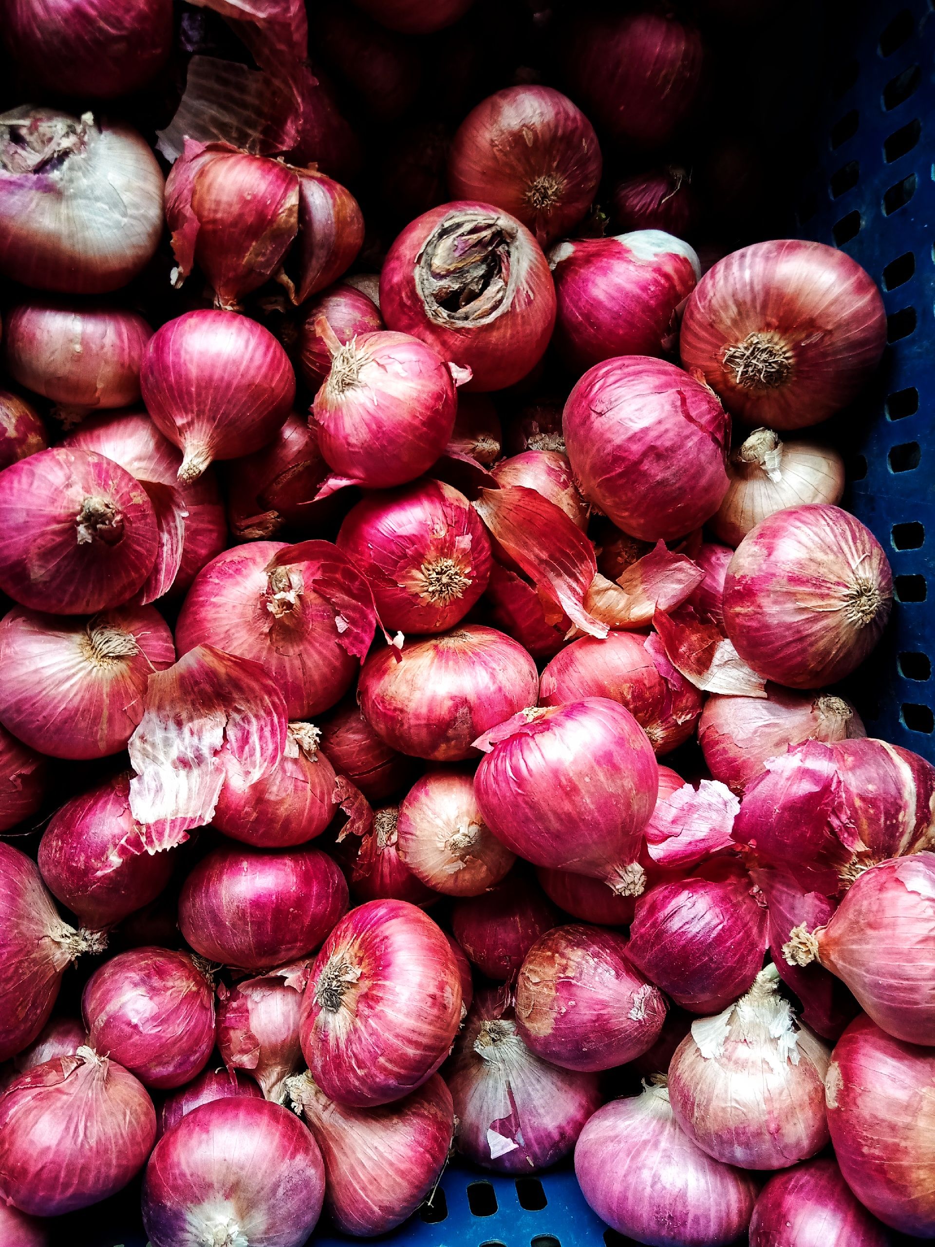Fresh Red Onions in an Industrial Basket · Free Stock Photo
