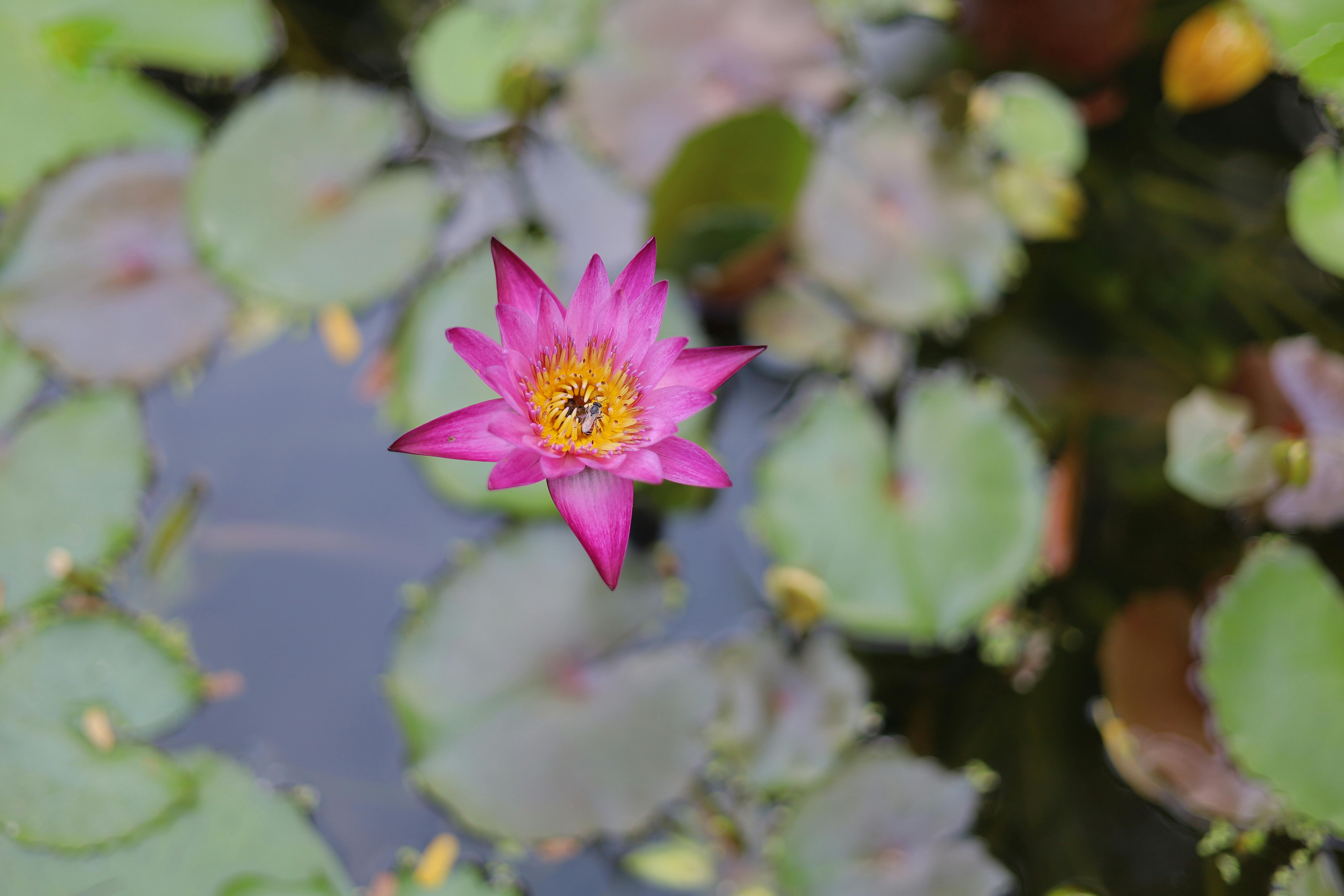 Popular+Now+On+Bi+Ho+Hohoho+Ho+H+H+Hooho+Hoo+Hoho+H+H+Ho+Ho+Ho+Hooon ...