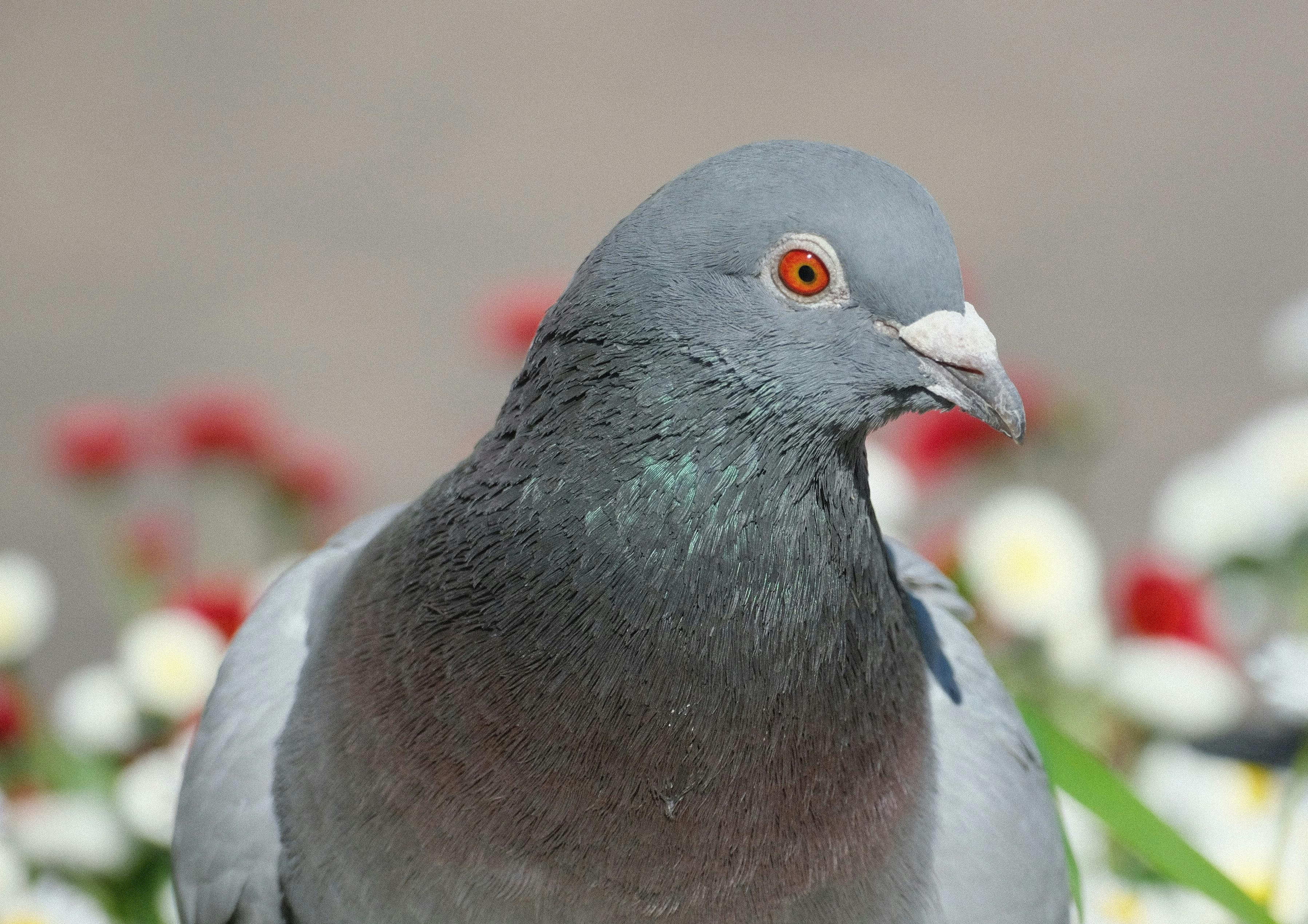 1920 X 480 Photos, Download The BEST Free 1920 X 480 Stock Photos & HD ...