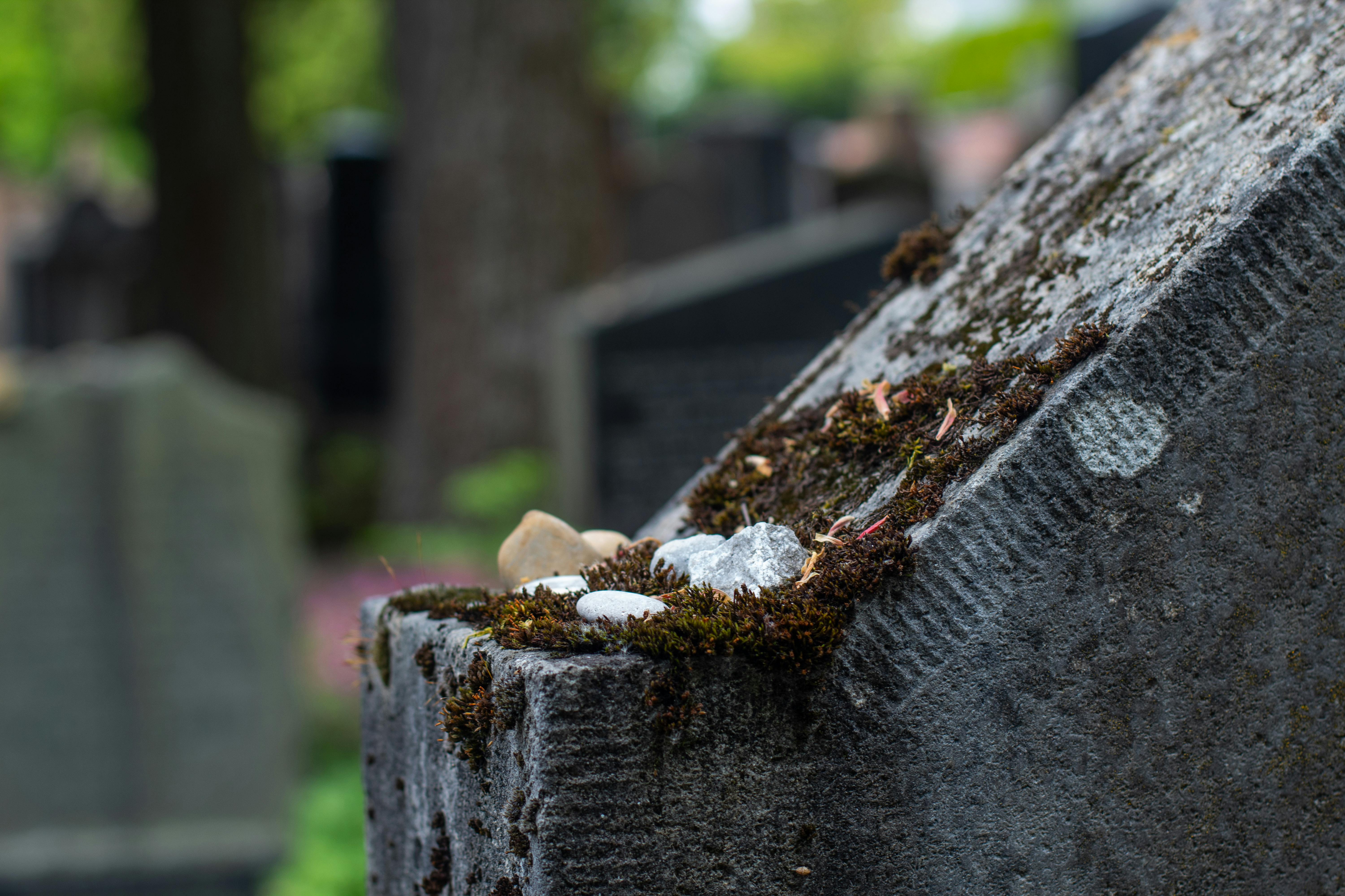 Jewish Cemetery Gravestone with Pebbles and Moss · Free Stock Photo
