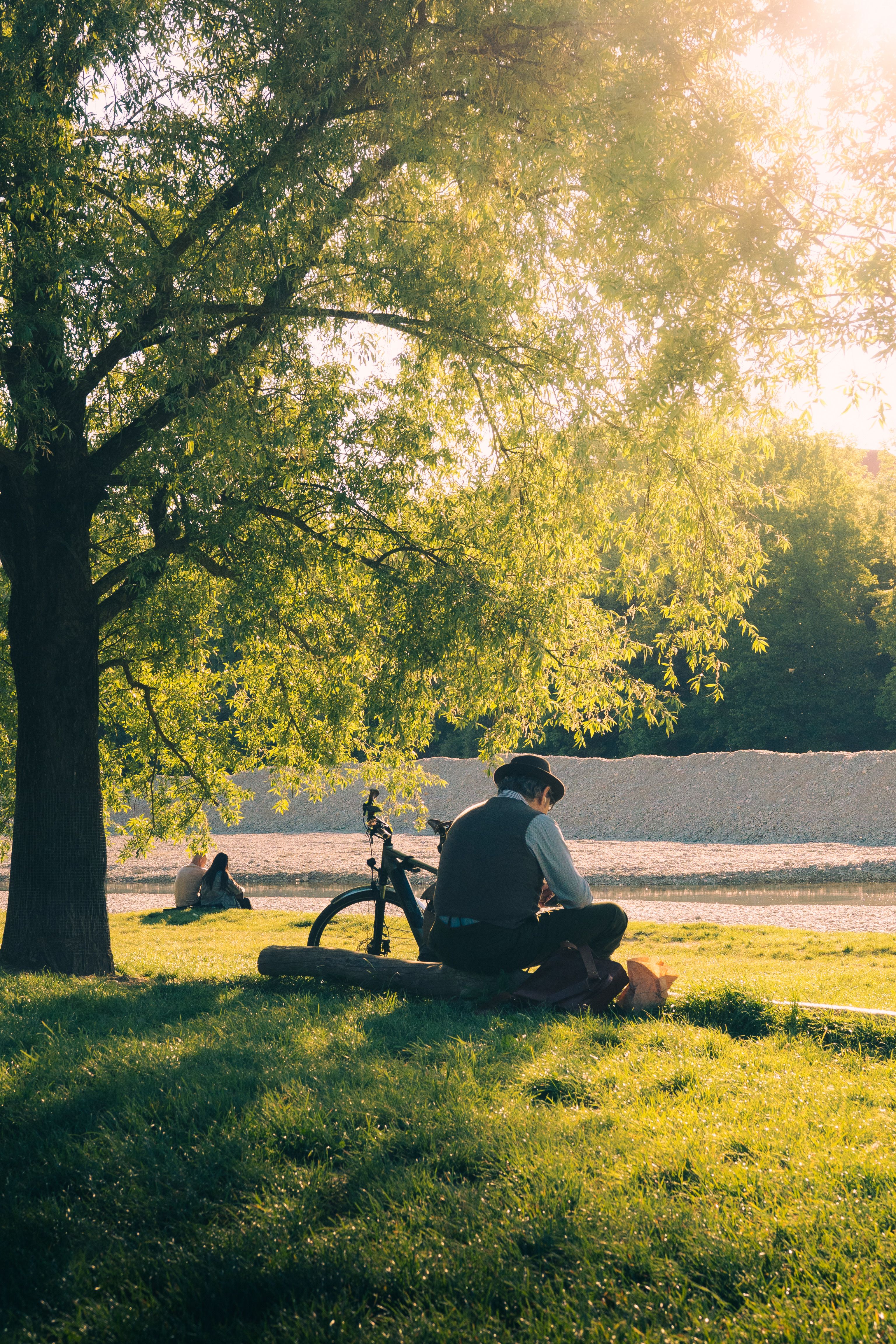 Person Reading Outside Photos, Download The BEST Free Person Reading ...