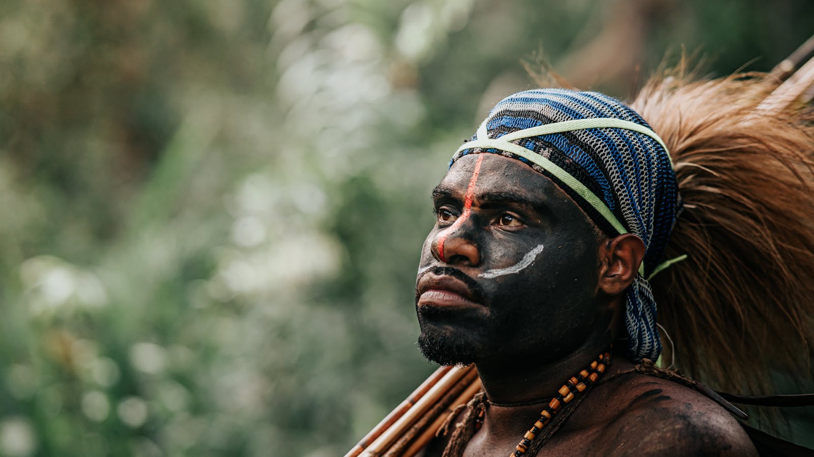 Portrait Reference Photos, Download The BEST Free Portrait Reference ...