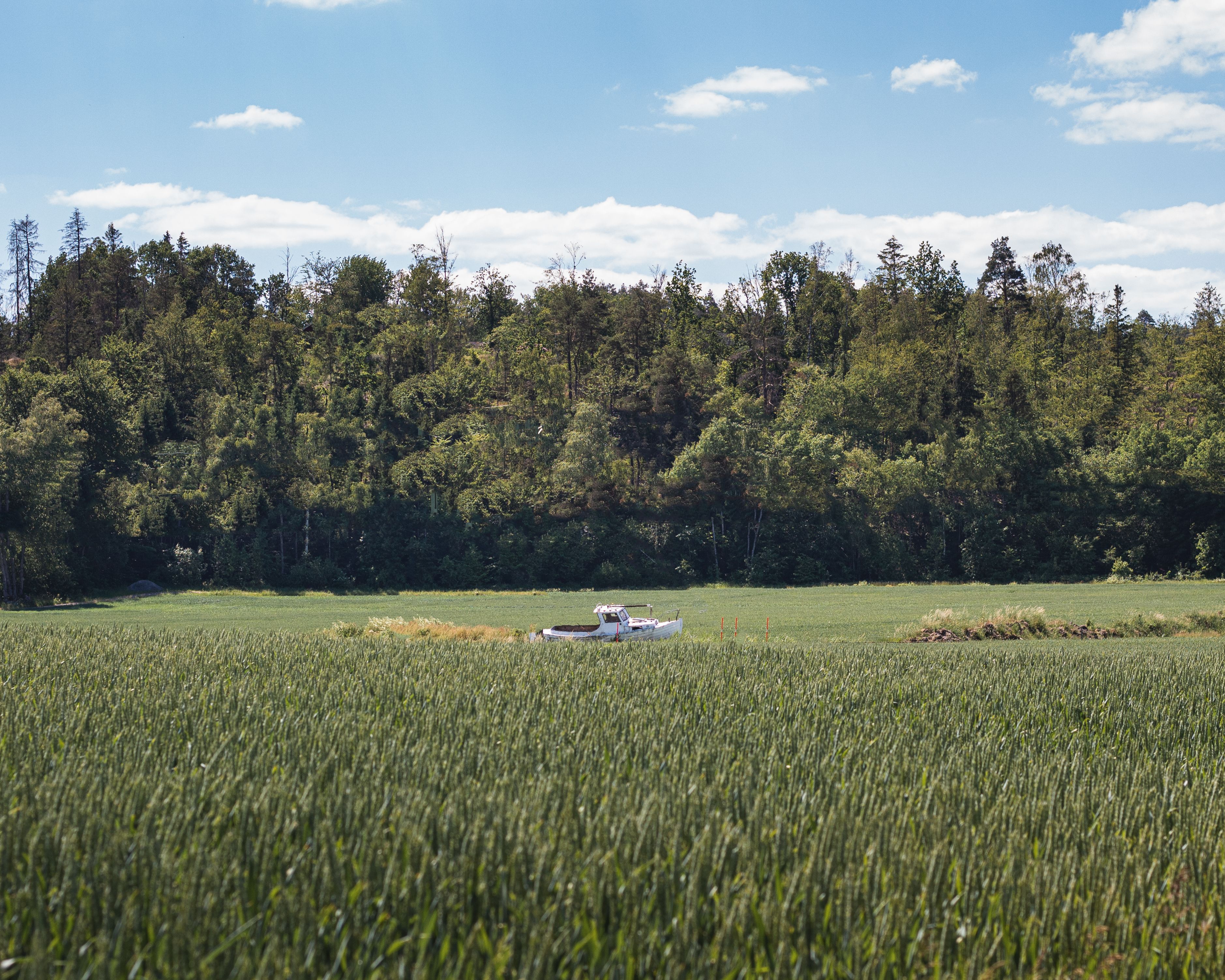Small Plane In Field Photos, Download The BEST Free Small Plane In ...
