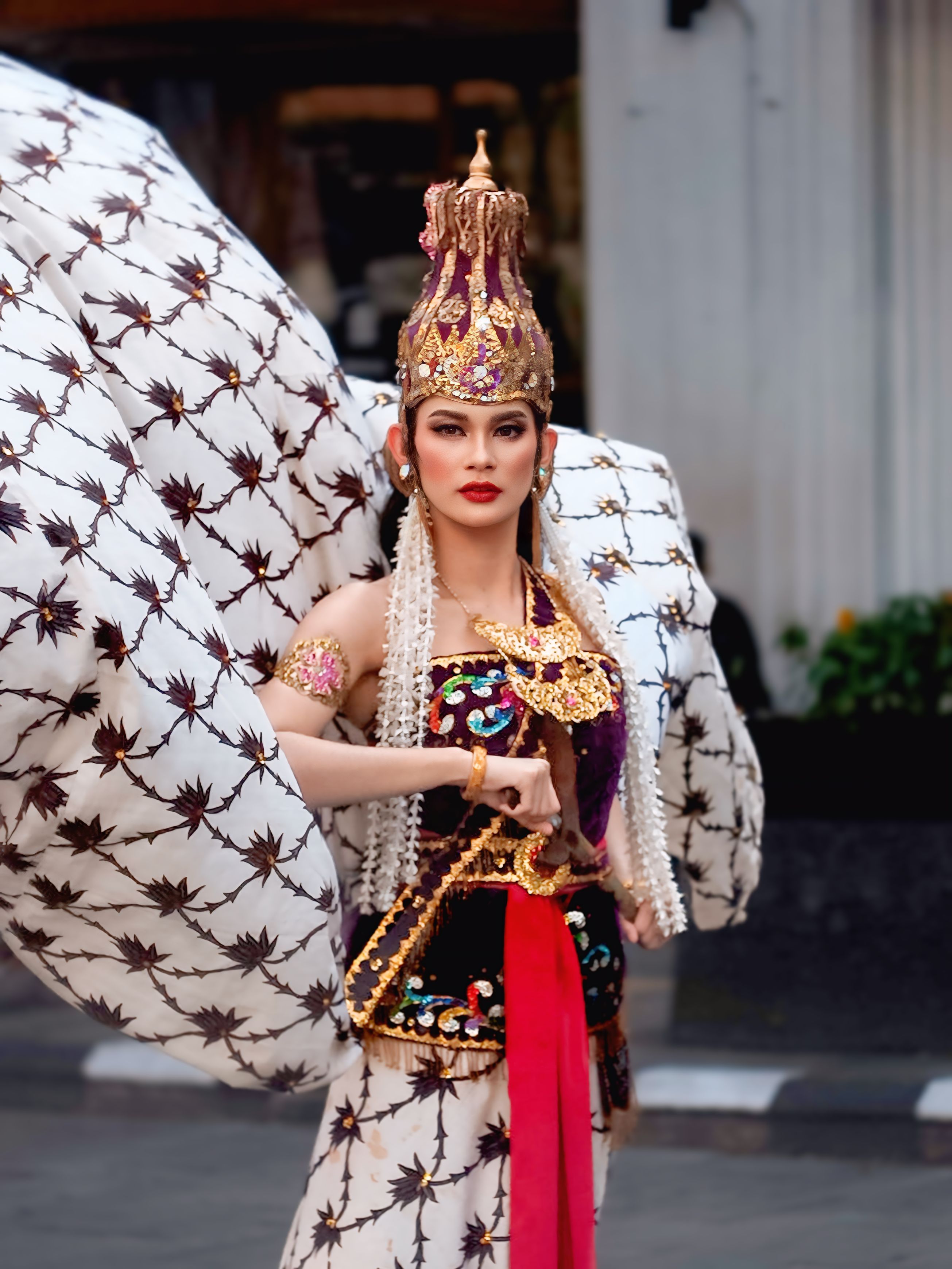 Elegant Traditional Cultural Dance Costume Portrait · Free Stock Photo
