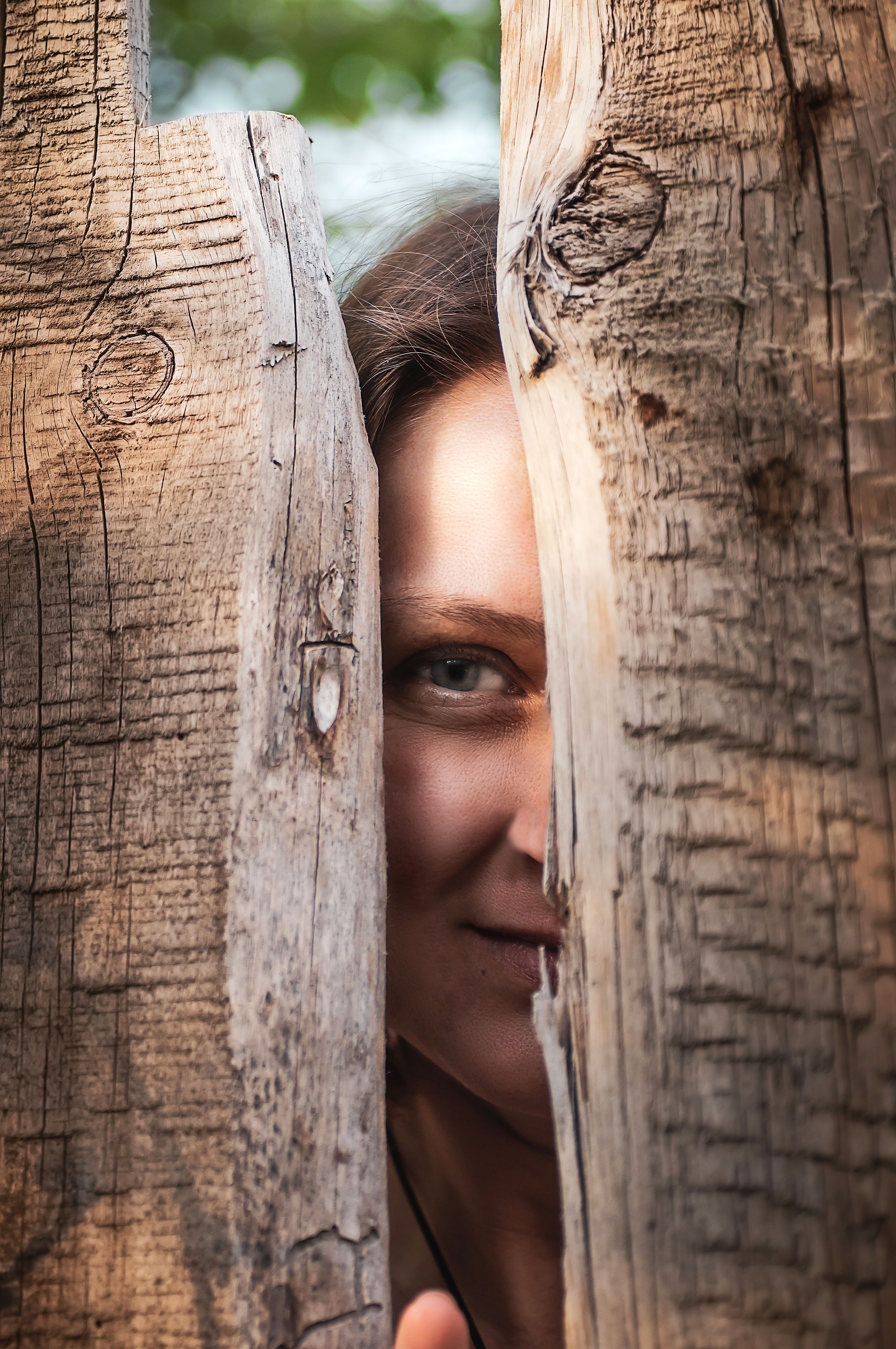 Woman Peeking Through Rustic Wooden Fence · Free Stock Photo