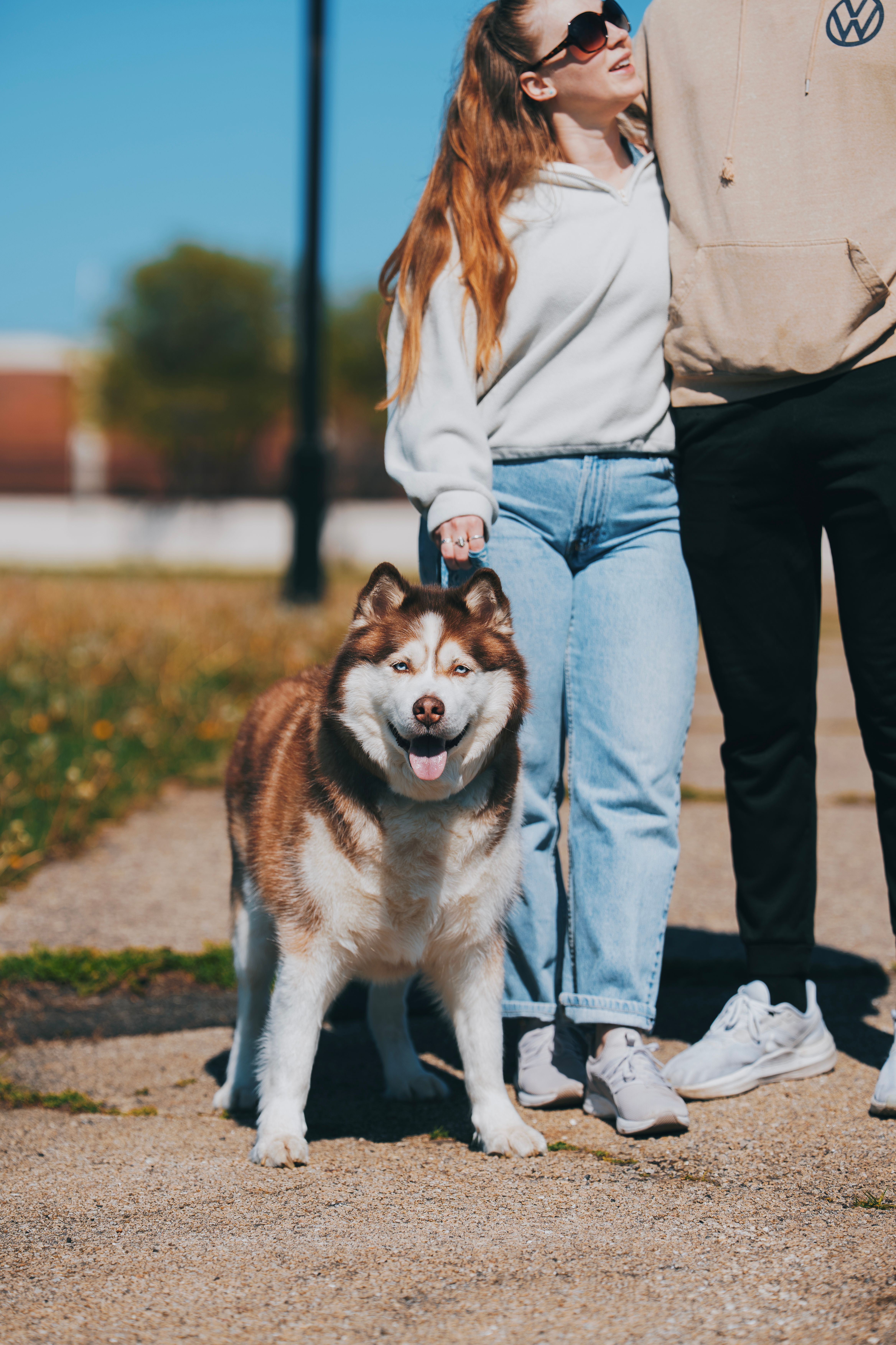 Siberian Husky with Owners in Chicago Park · Free Stock Photo