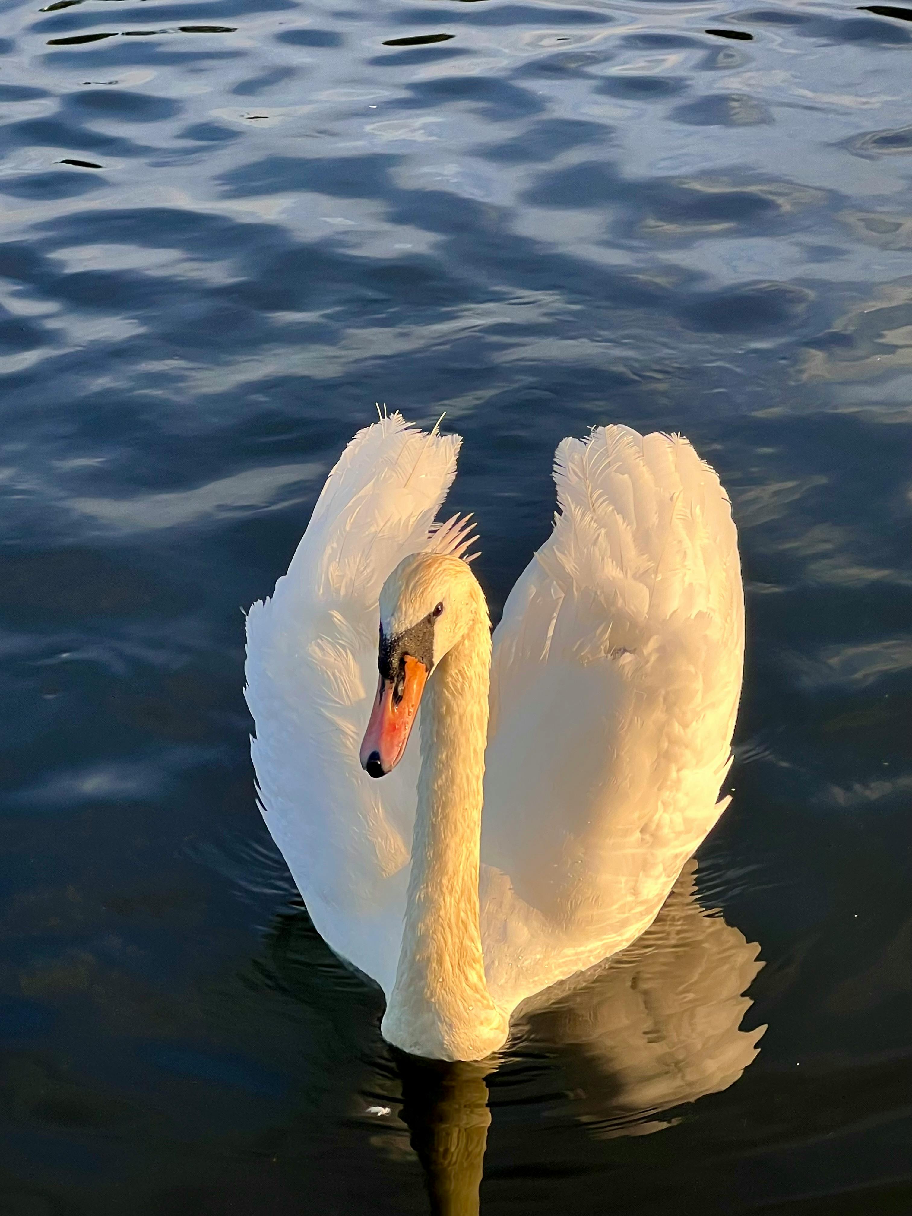 Tum+Tum+Tum+Sahor+Wallpaper Photos, Download The BEST Free Tum+Tum+Tum ...