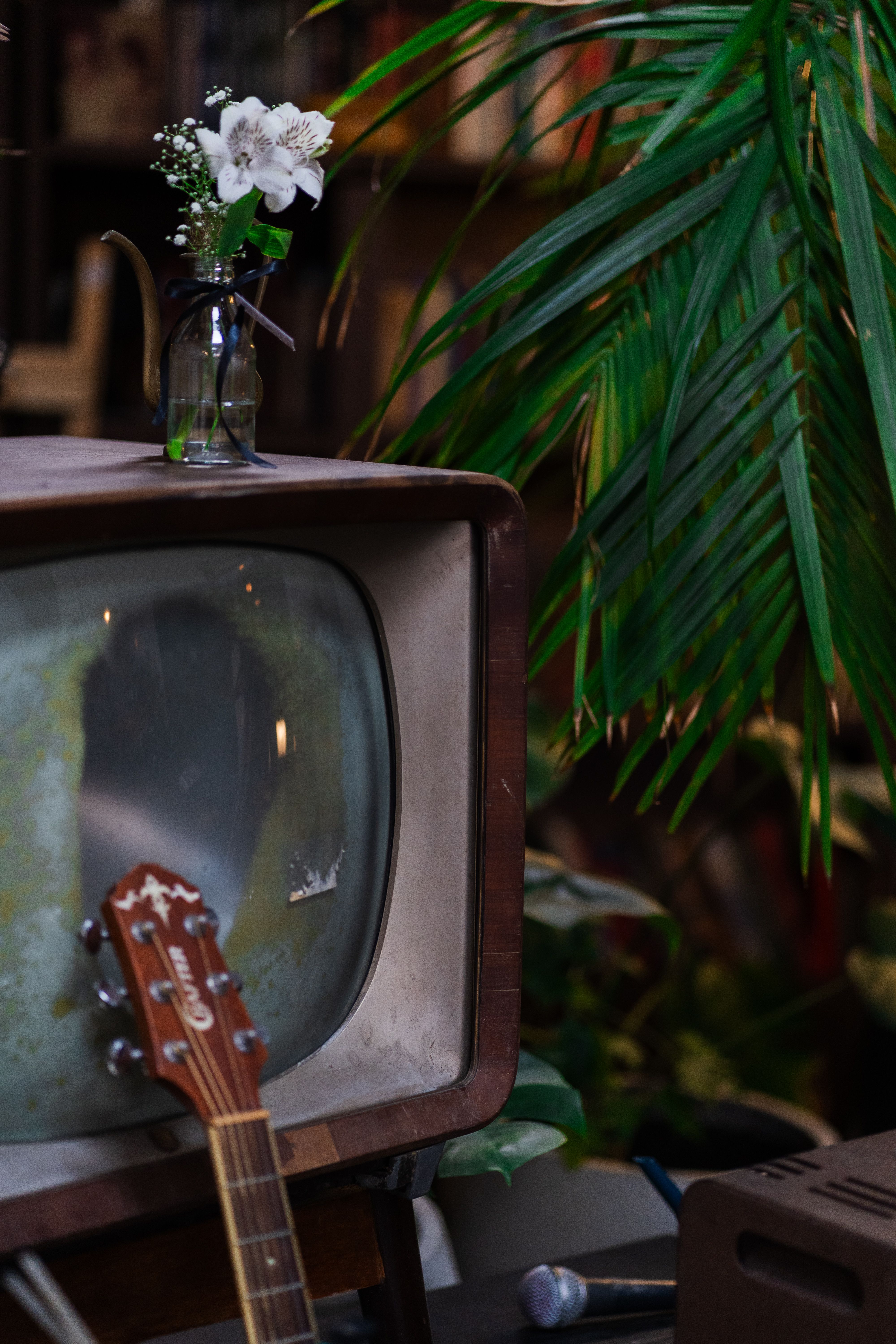 Ambient Photos, Download The BEST Free Ambient Stock Photos & HD Images