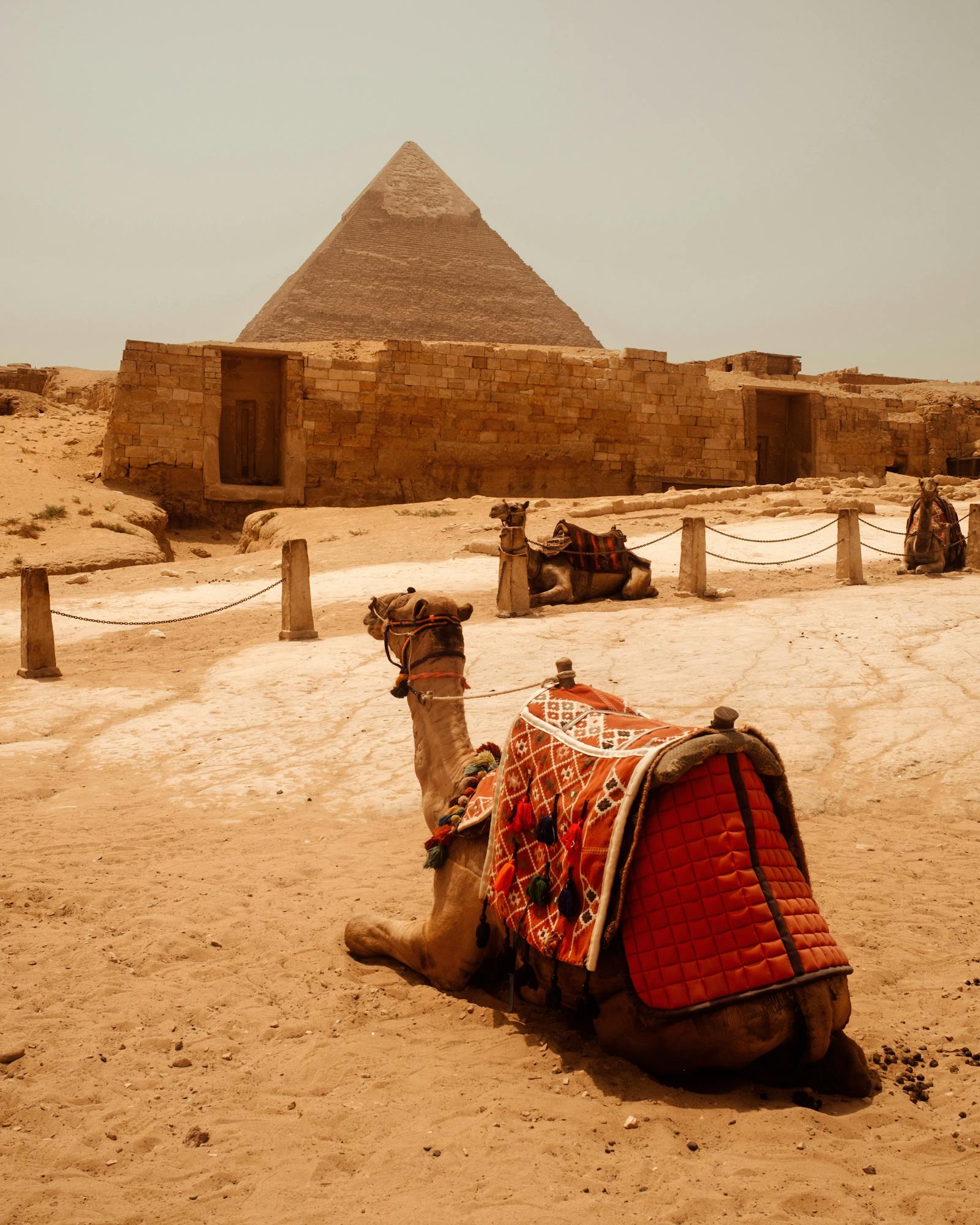 Great Pyramid Of Giza Photos, Download The BEST Free Great Pyramid Of ...