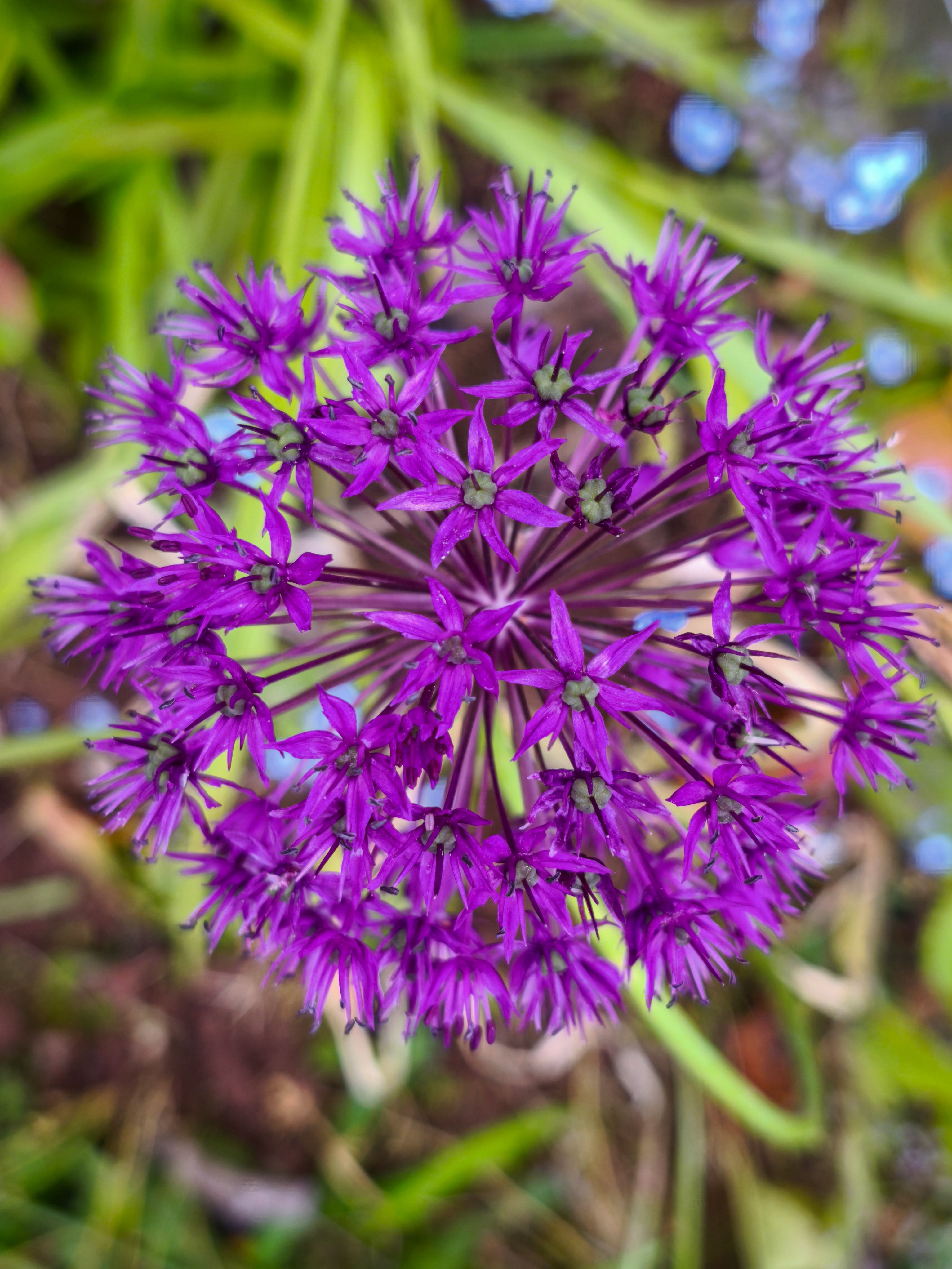 Botany Photos, Download The BEST Free Botany Stock Photos & HD Images